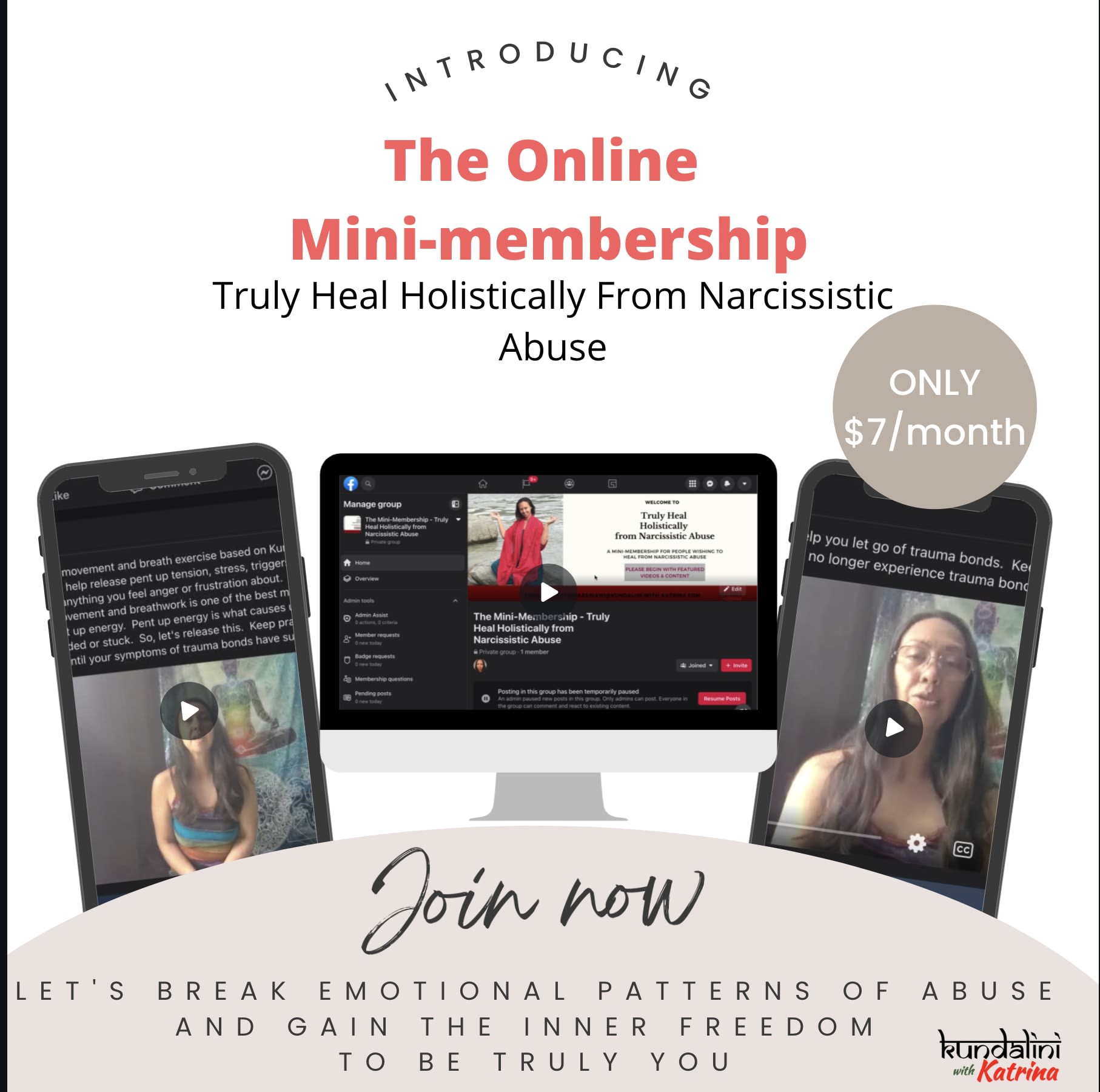Truly Heal from Narcissistic Abuse - The Mini Membership - Get ...