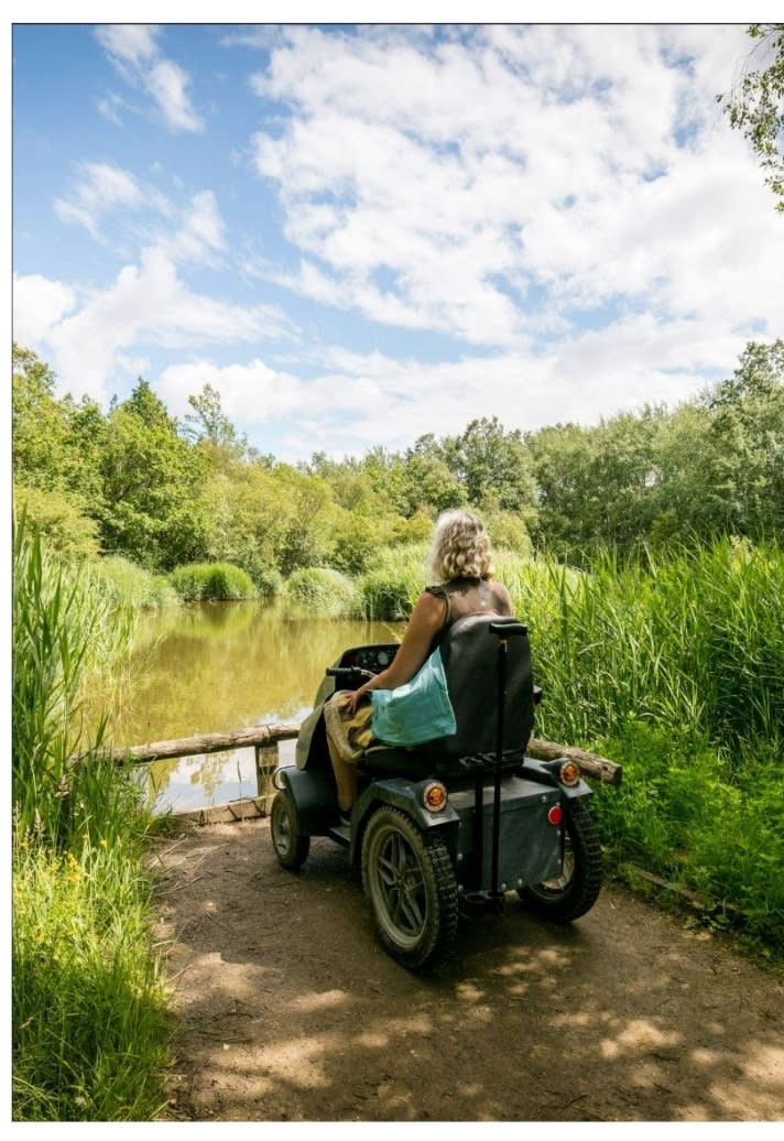 Shorne Woods Country Park - Details of the Locations we explore - Wild ...