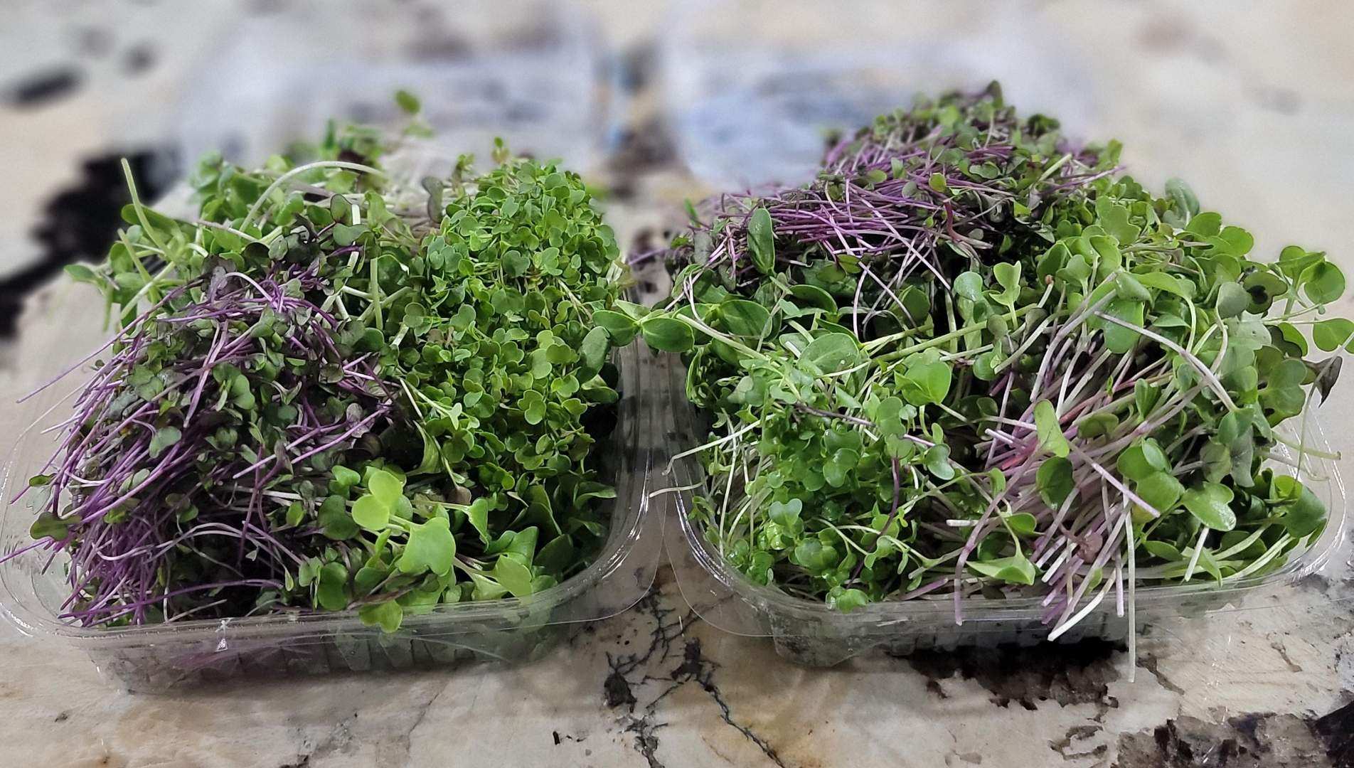 Farmers Blend - Local Organic Microgreens - Microgreen FX | Microgreen ...