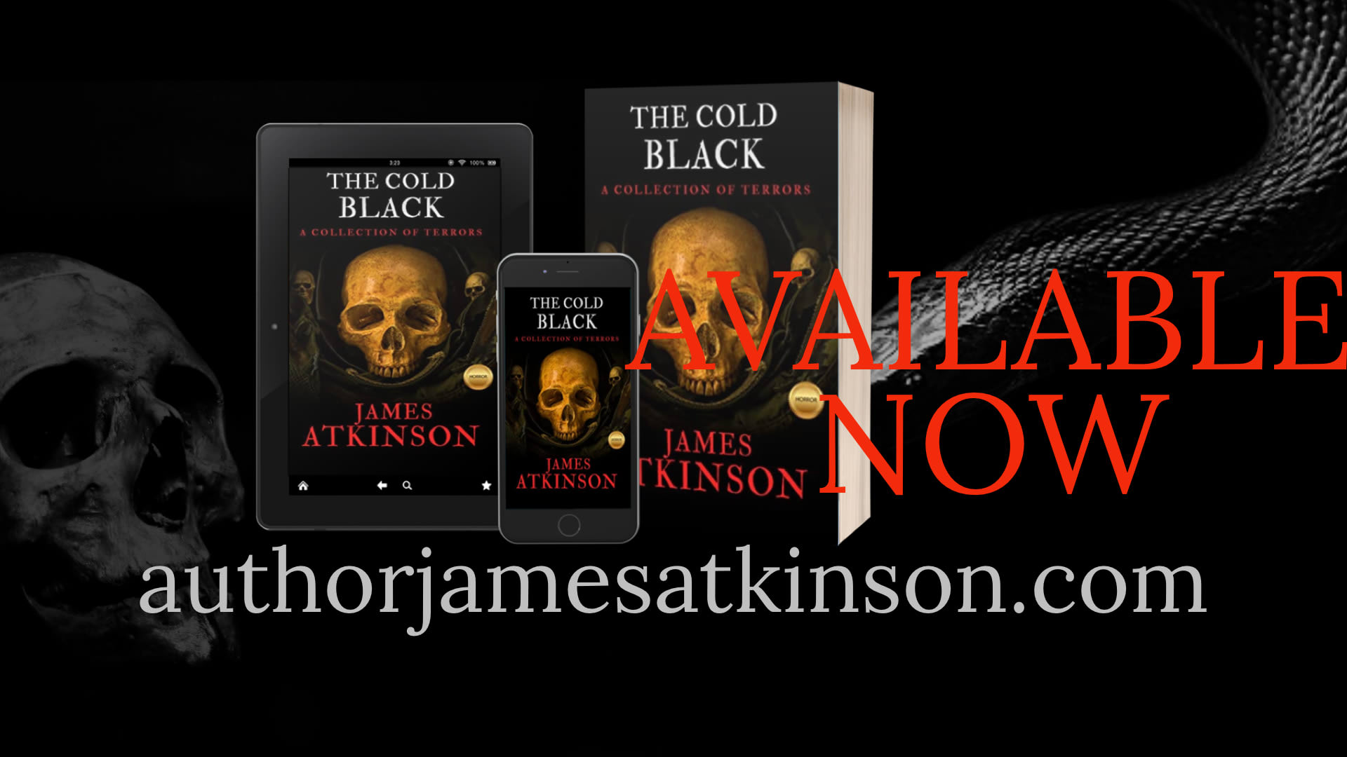 Author James Atkinson - Author in Florence