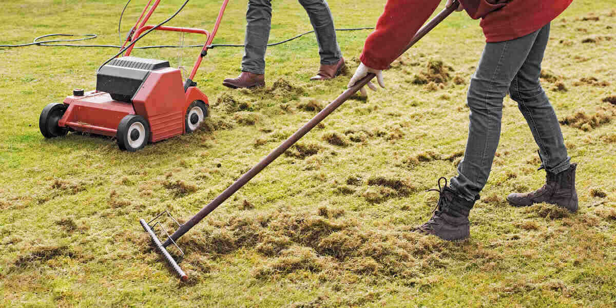 Thatching - Lawn Care - Bootstrap Lawn Care & Services | Lawn ...