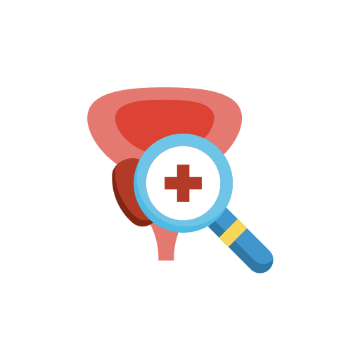 Prostate Transabdominal Transrectal General And Vascular Diagnostics