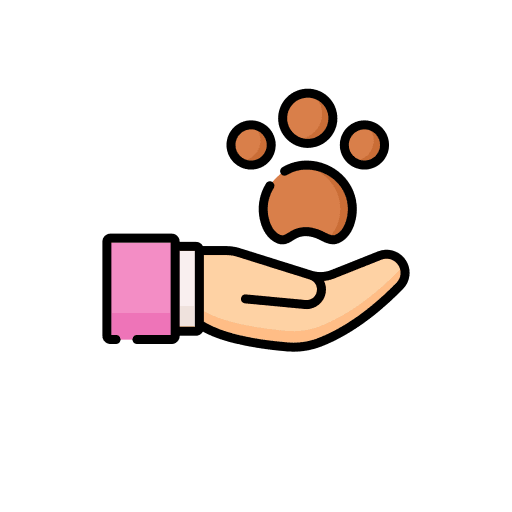 Cat and Kitten Surrender - Our Sanctuary Services - Zen Cat Sanctuary ...