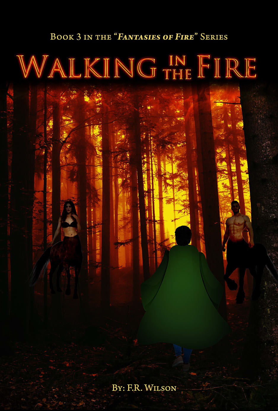 Walking In The Fire - Novels - Wilson Enterprises - Author & Comedian ...