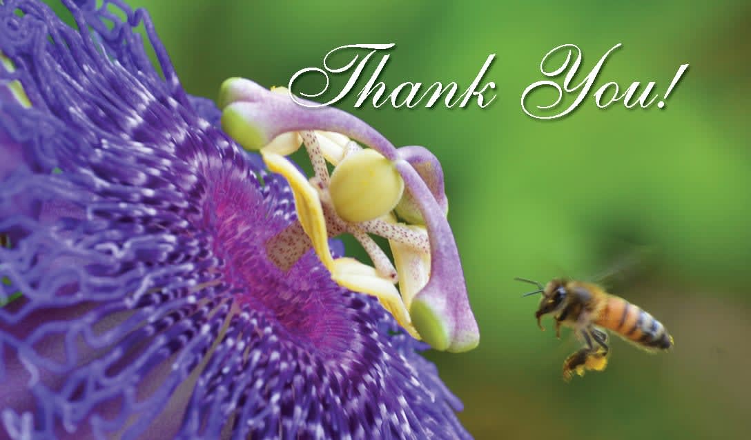 Thank You, Bee - Thank You (TIP cards) - Church Ministry Solutions ...