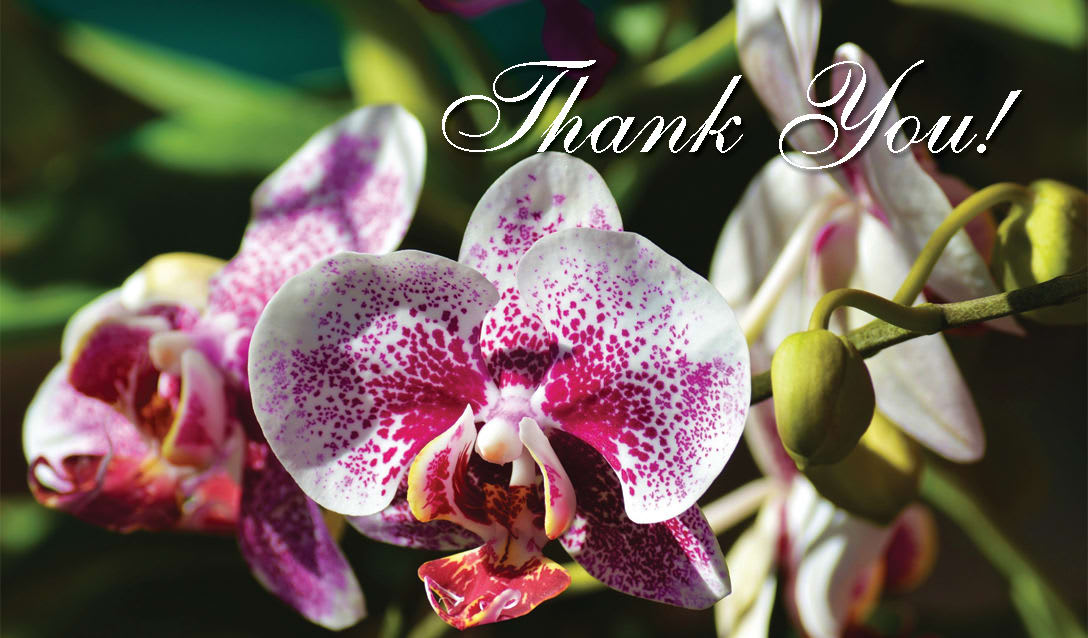 Thank You, Orchid - Thank You (TIP cards) - Church Ministry Solutions ...