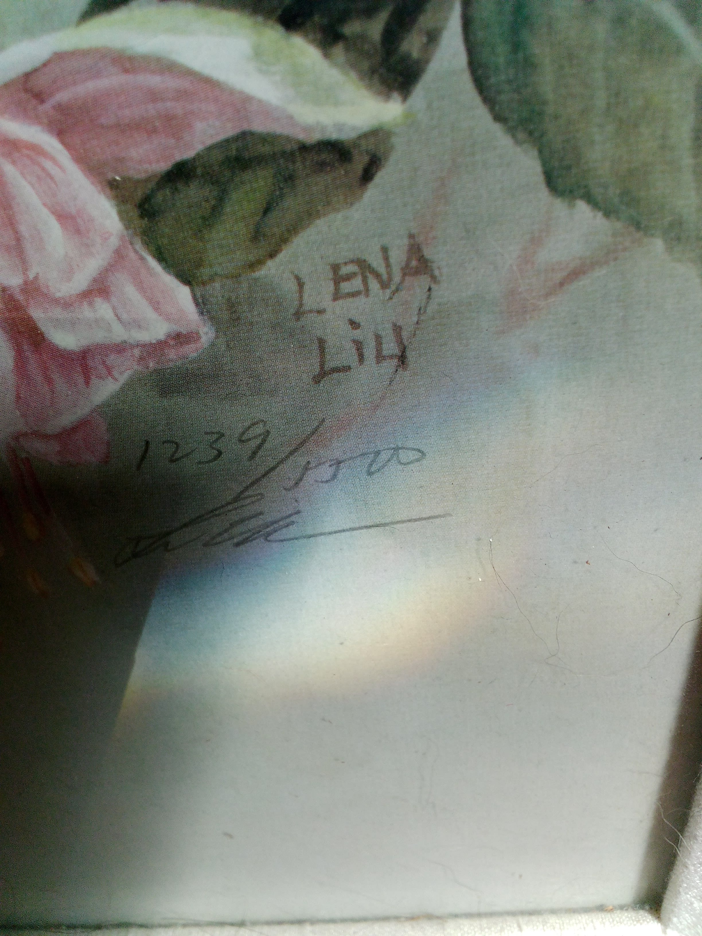 Lena Liu Hummingbird Prints