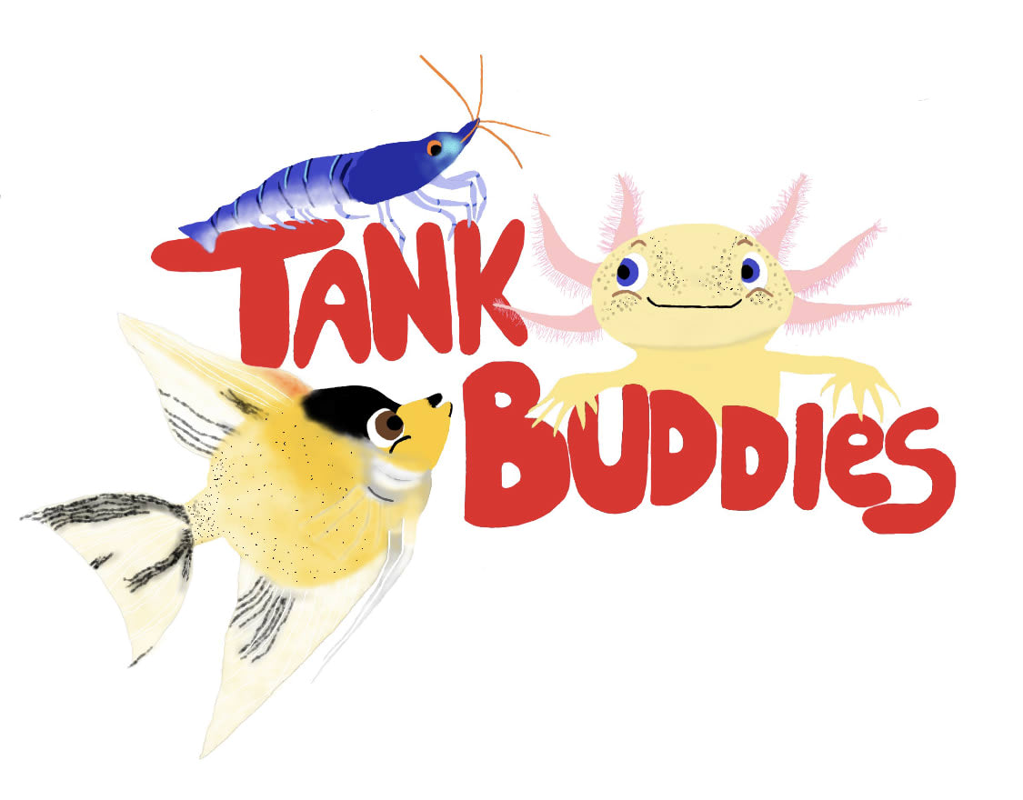 Tank Buddies | Aquatic Animals | Linden