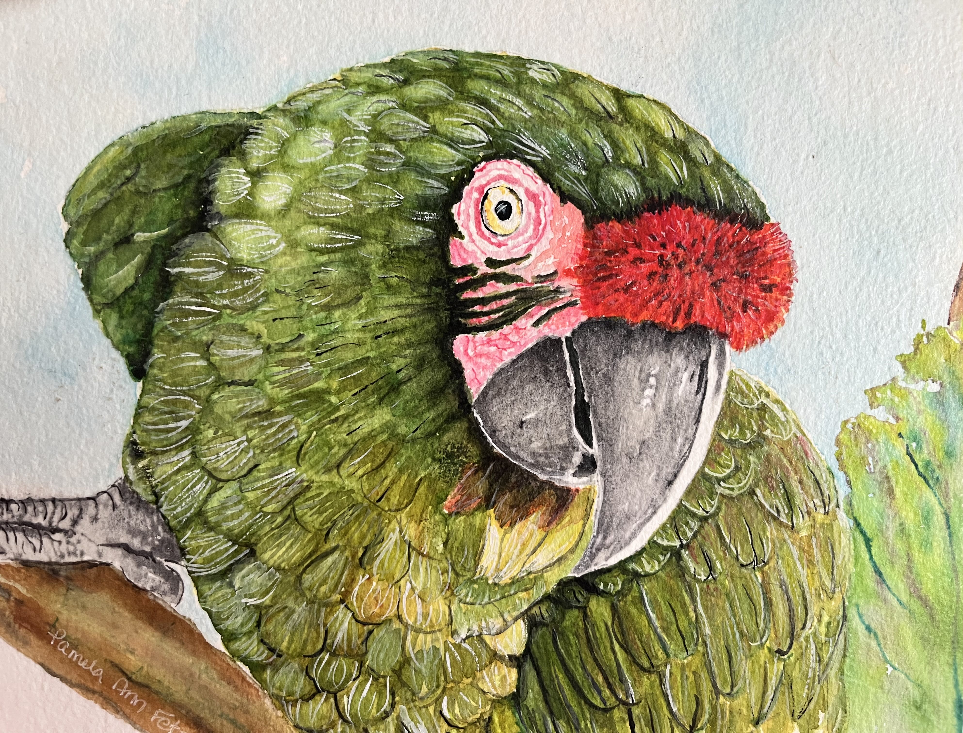 Green Parrot Painting