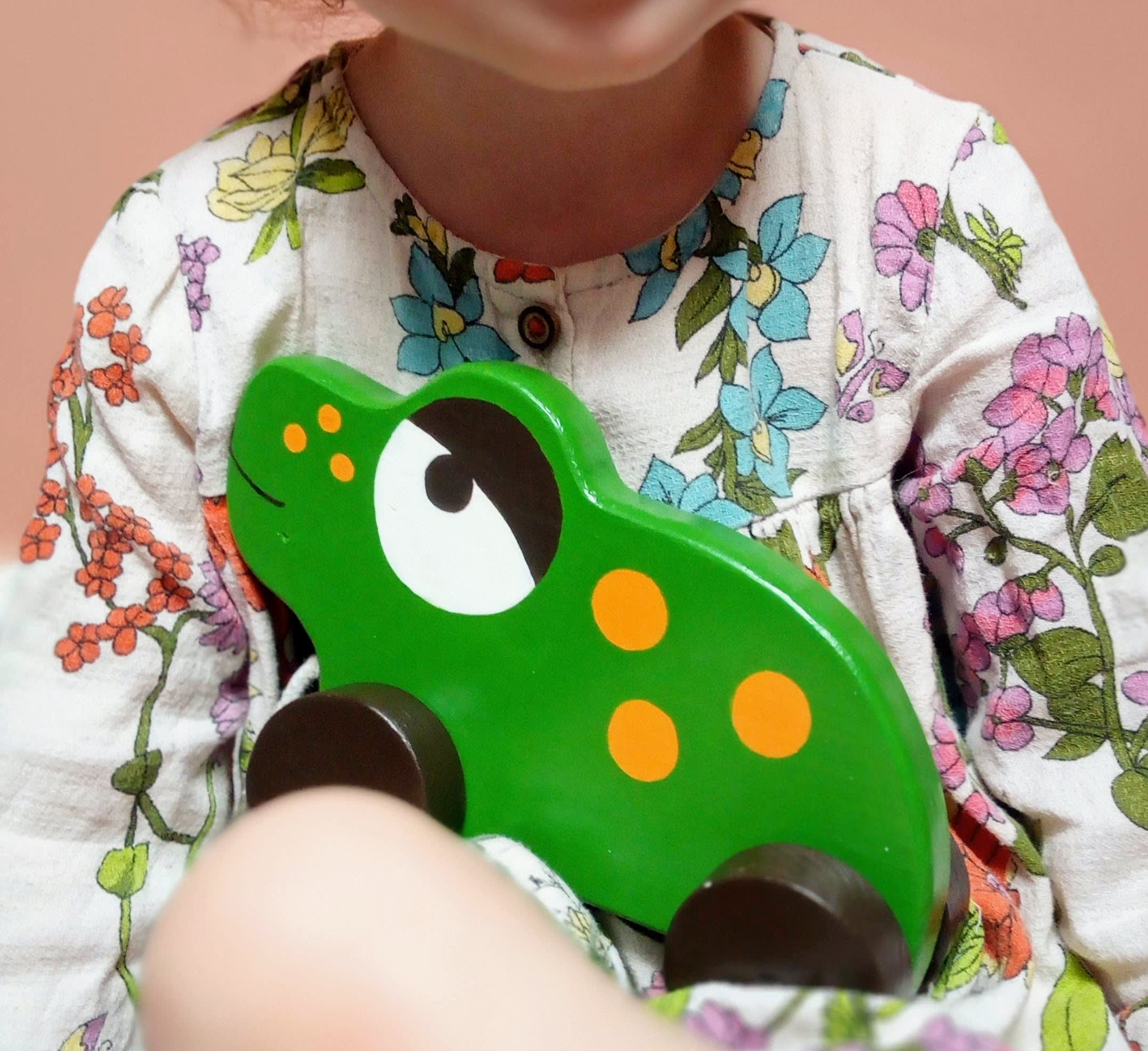 Pull Along Frog - Pull Along - GMFurniture | Wooden Toys Manufacturer ...