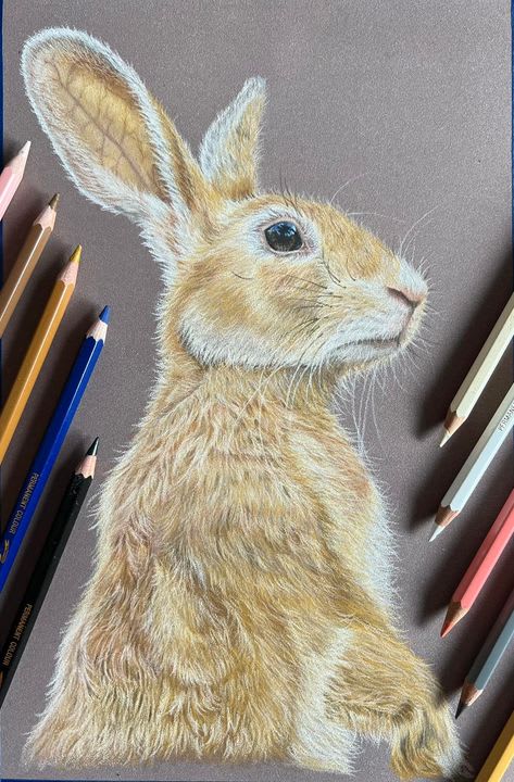 Advanced Colored Pencil Tutorials - Learn the Techniques to Improve ...