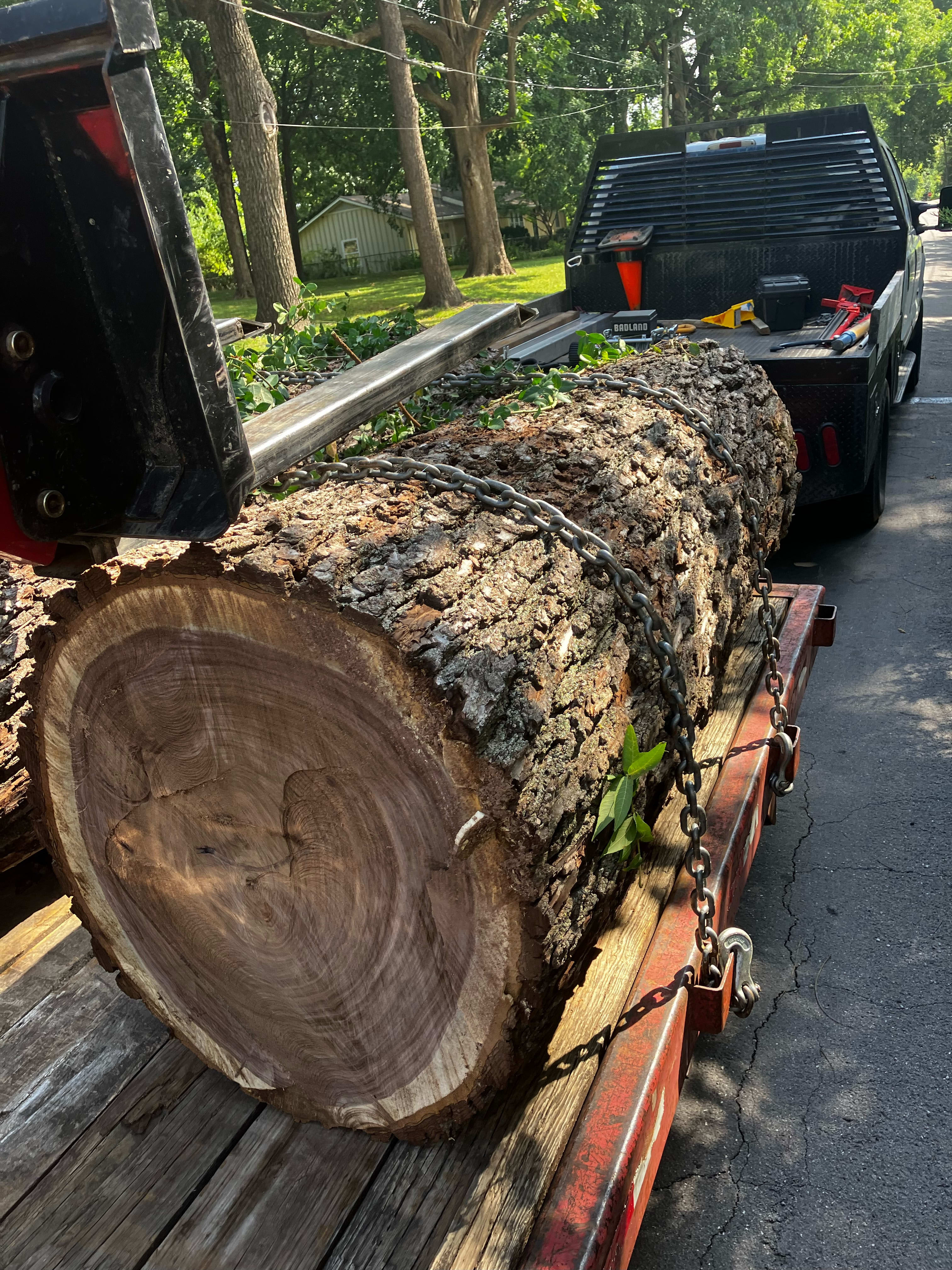Professional Large Log Removal | Wyco Wood Co. | Kansas City