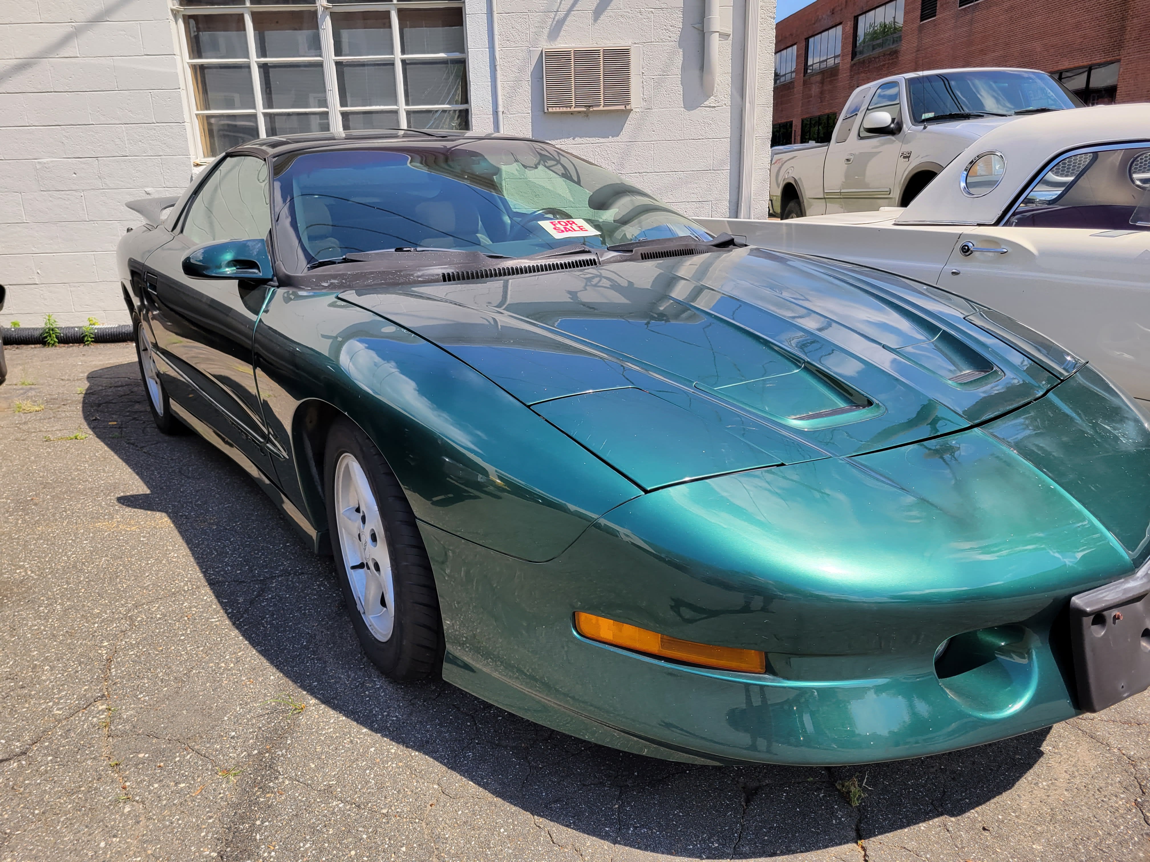 1995 Trans Am 6 speed manual 123k miles - New Inventory!!! Cars in ...