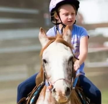 Riding Lessons - What We Do - Little Rascals Pony Rides And Petting Zoo ...