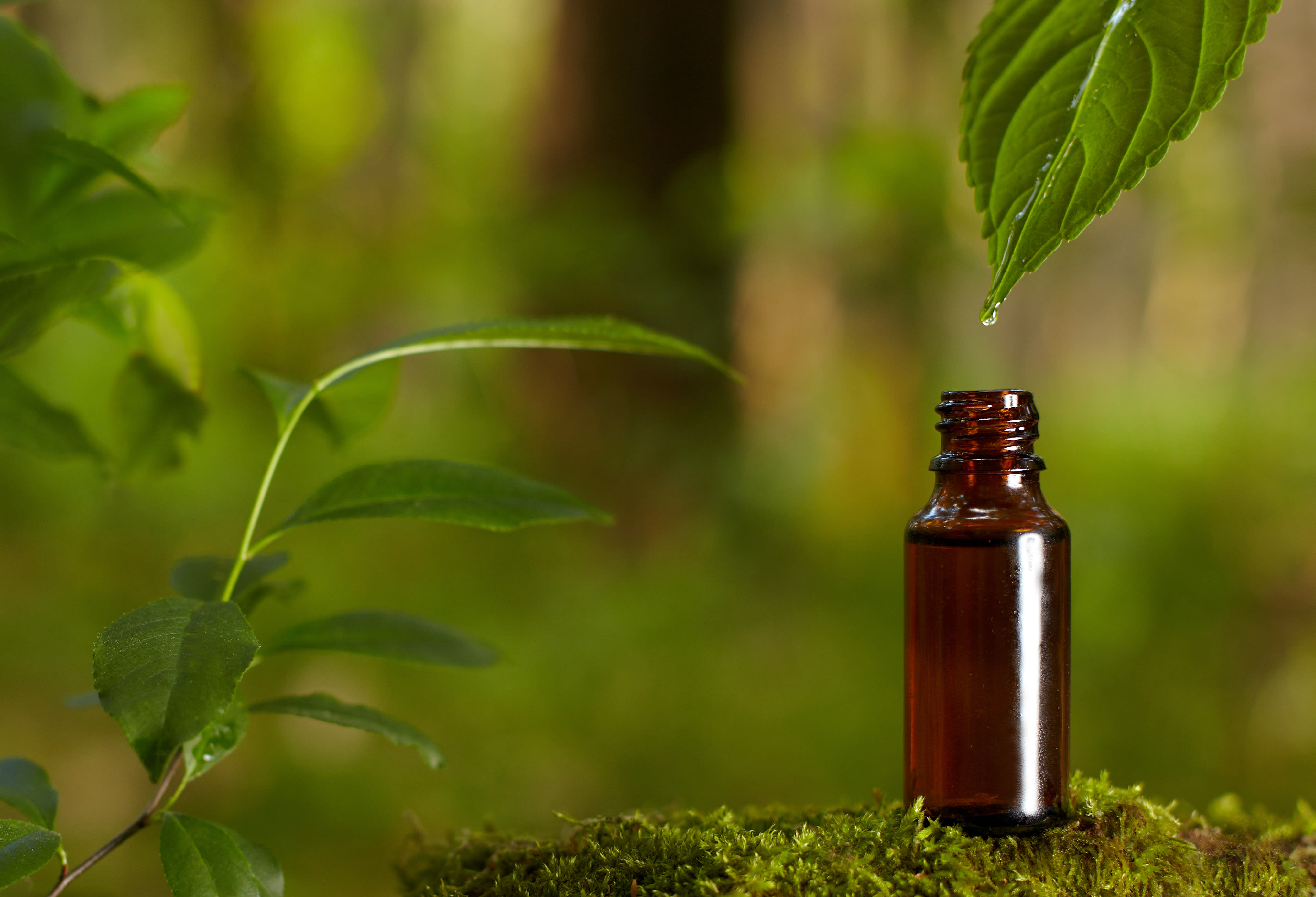 Holistic Homeopathy Center | Homeopathy Practitioner | Pleasanton
