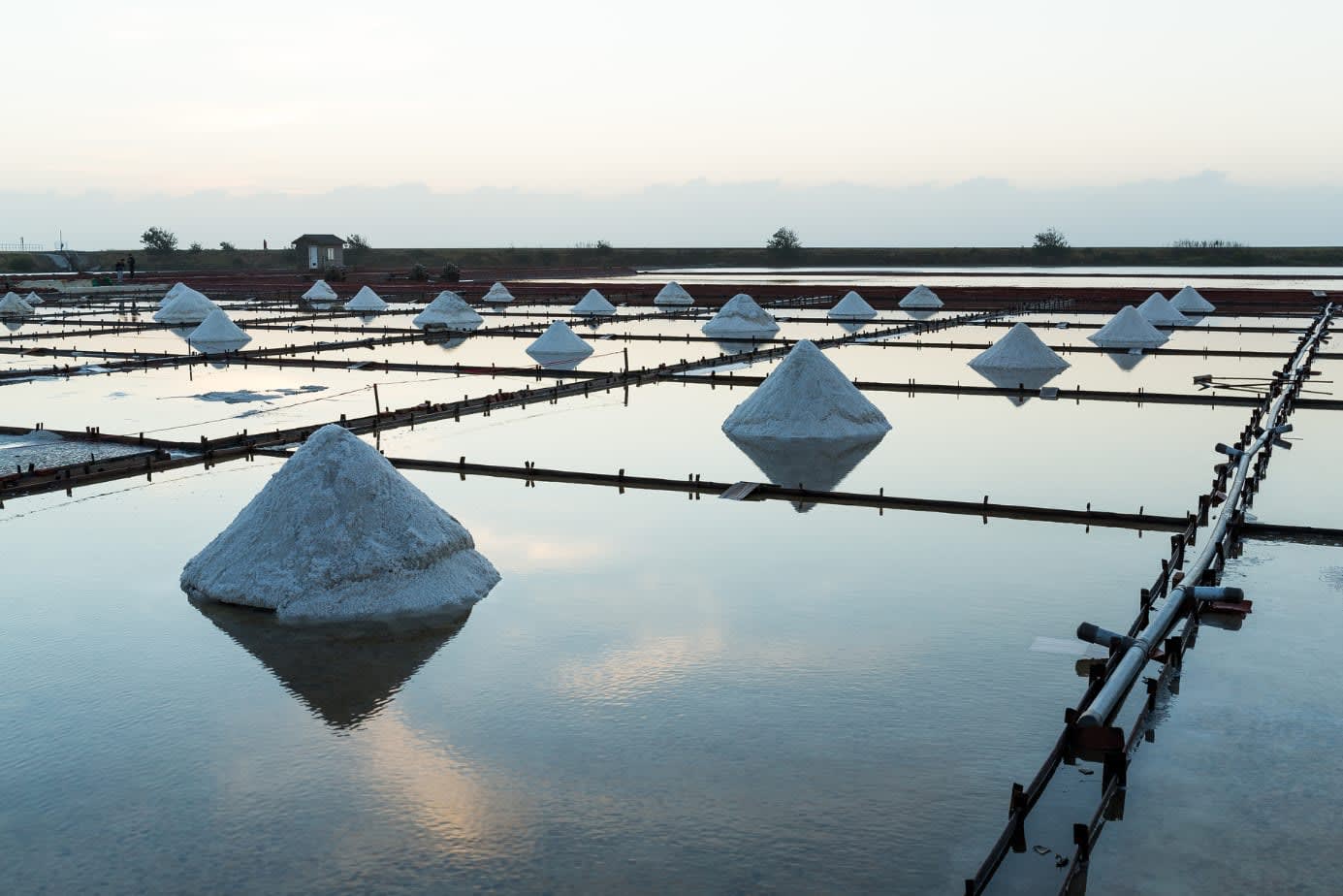 Salt Farming - Farming - Jenefal Farms & Industries | Commercial Farm ...