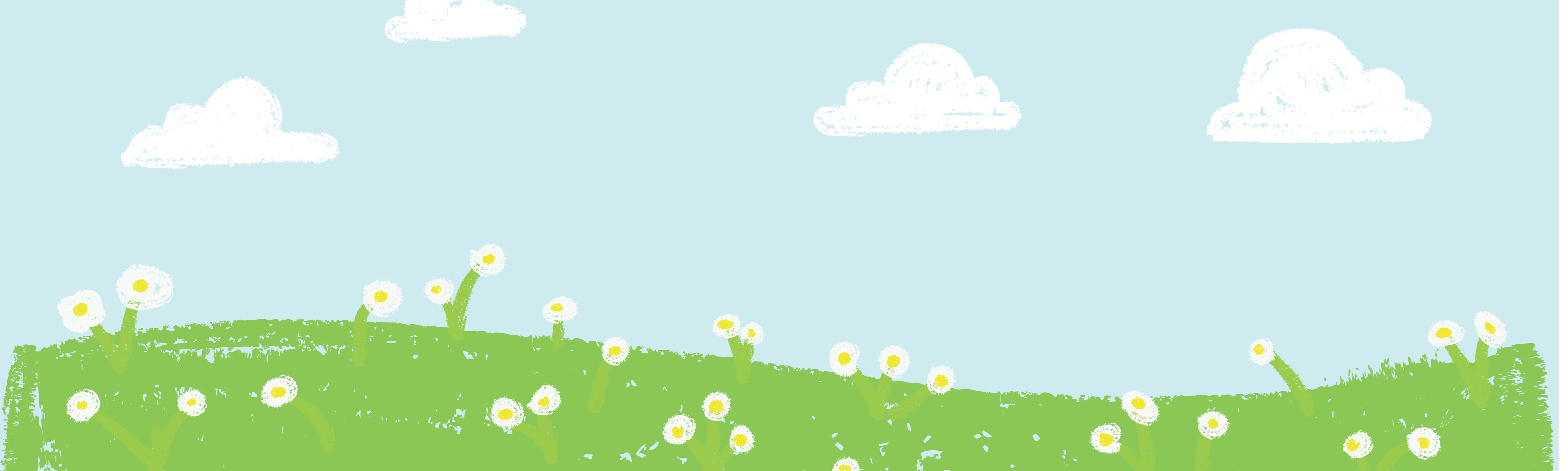 Deirdre Kiernan | Children's Author and Book Seller in New Bern