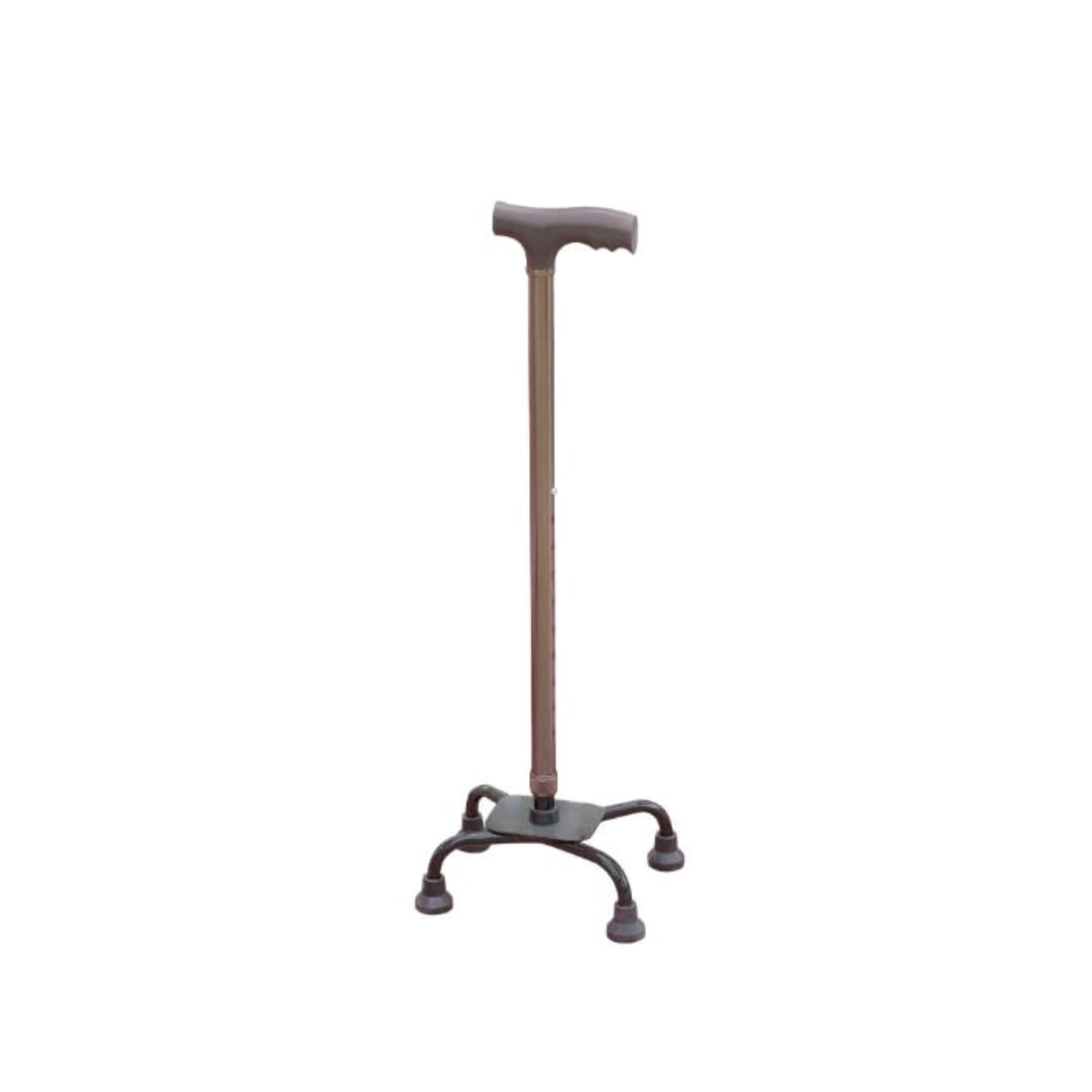 Cane - Mobility - St Joseph Pharmacy & Medical Supplies | Zephyrhills ...