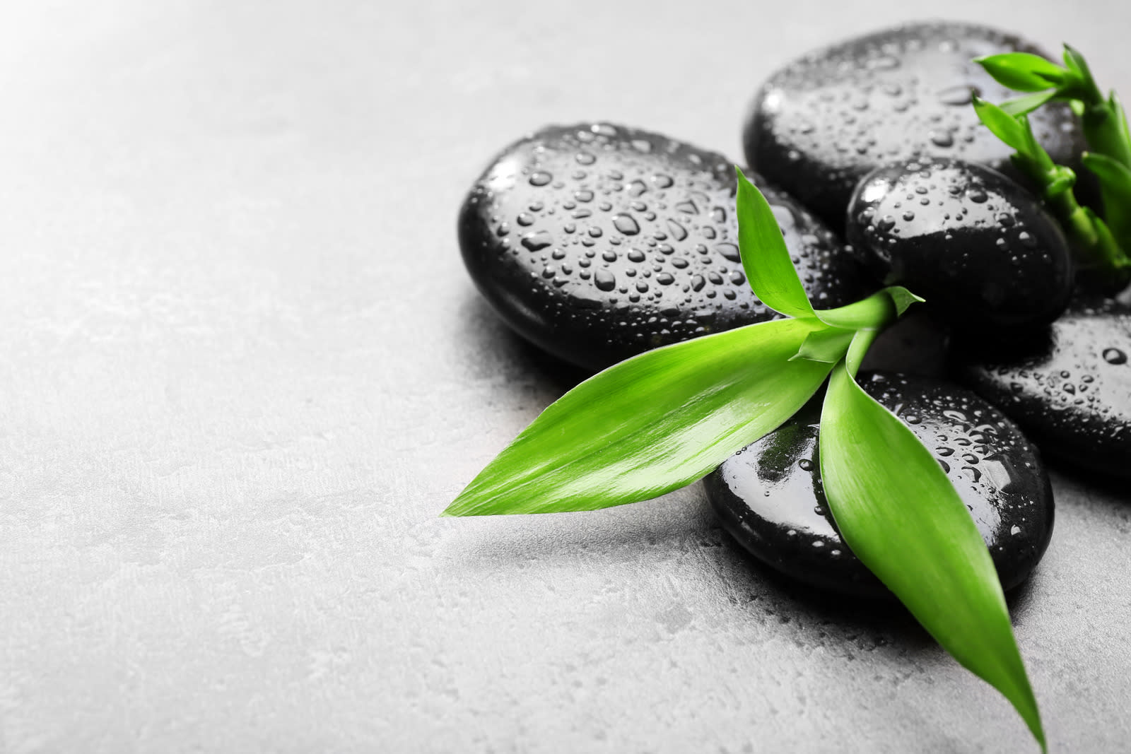 Crystal Ibis | Licensed Massage Therapy and Hypnotherapy | Kirkland