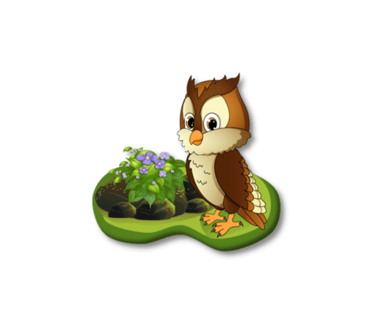 The Owl - Which of the 4 Core Human Communication Styles Does Your ...