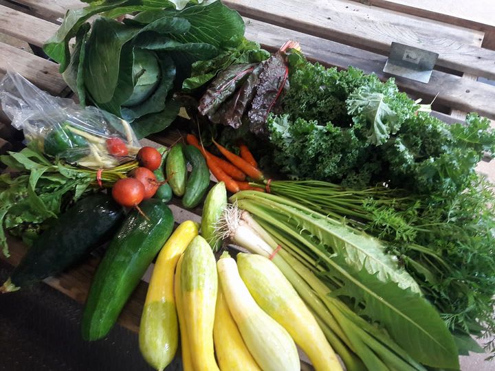 CSA Full Share, Spring Season, 10 weeks - Full or Half Shares for 3 ...