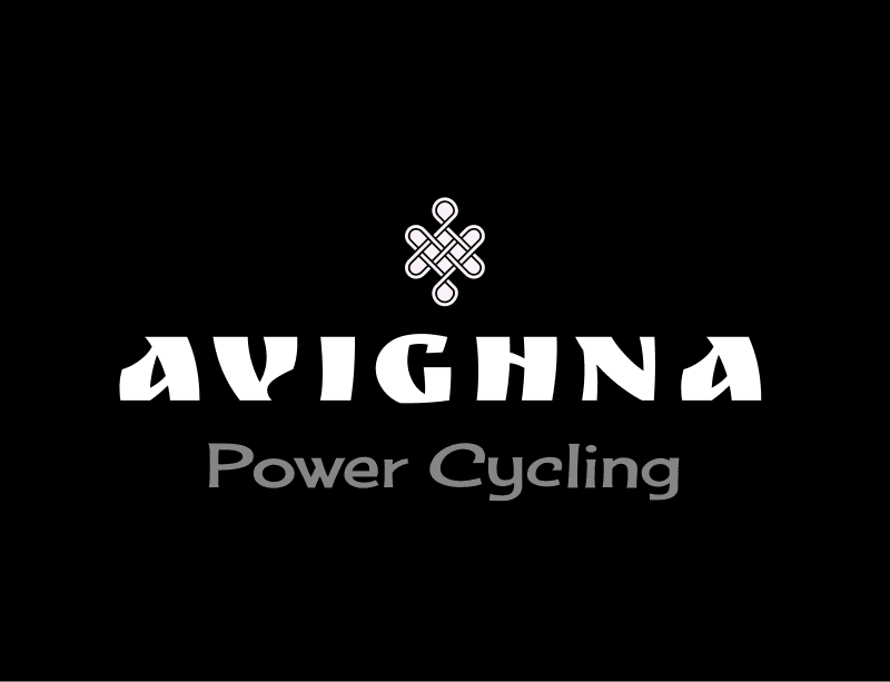 Avighna Mobility | Electric Bicycle Manufacturer and Distributor in ...