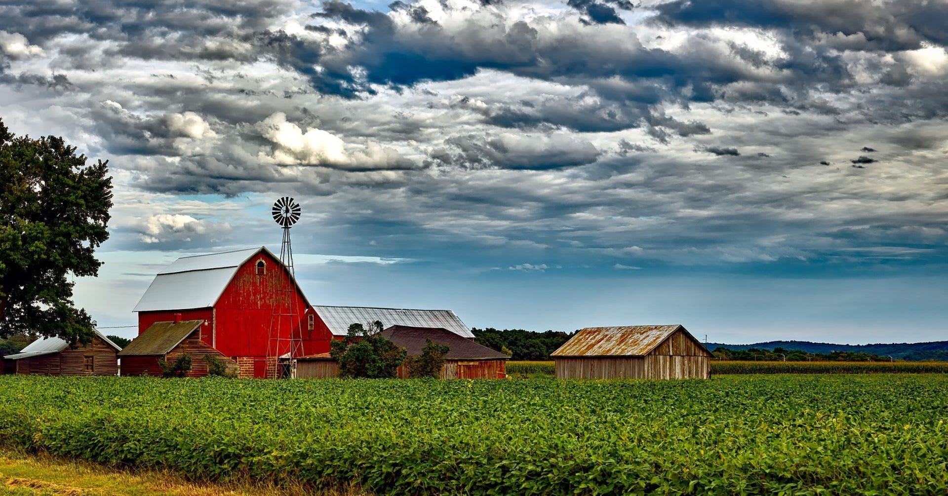 Farmers Market, Agriculture in USA & Agri-Business | That’s Agra-Tastic ...