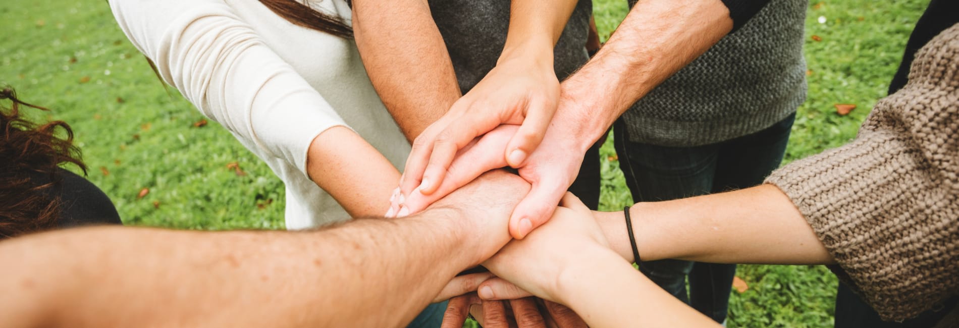 Non-Profit | Center for Community and Immigration Service Inc - Germantown