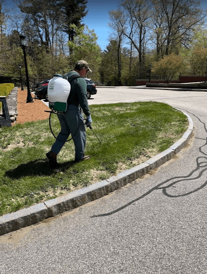 Insect and Disease Control Specialists-Collins Tree Service