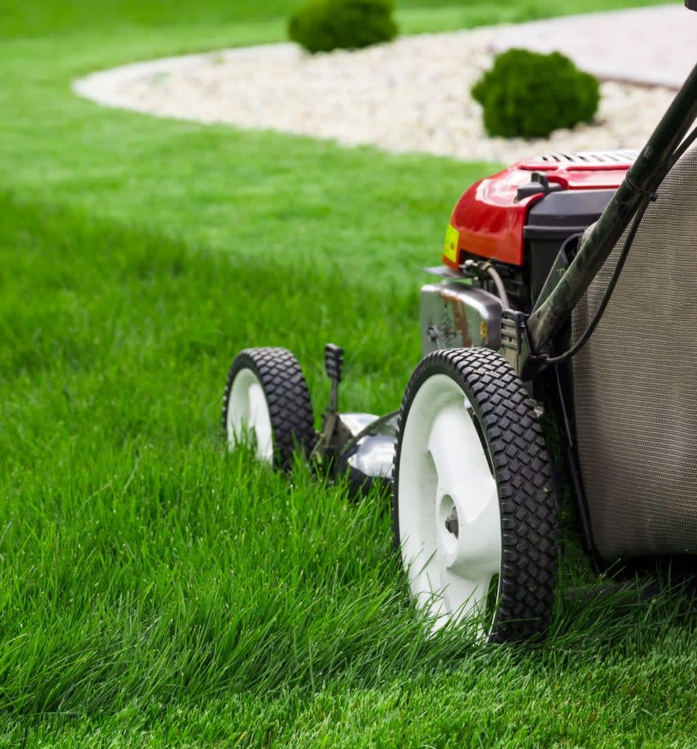 Monthly Landscape Maintenance - Landscape Services - ASAP Landscape ...