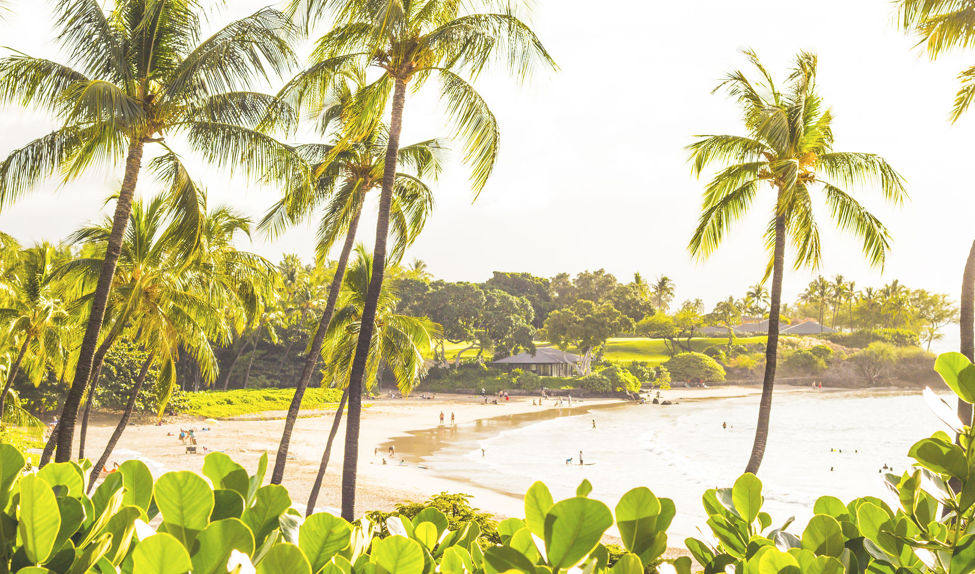 Pomai Entertainment | Hawaiian Cultural Artist | Waikoloa