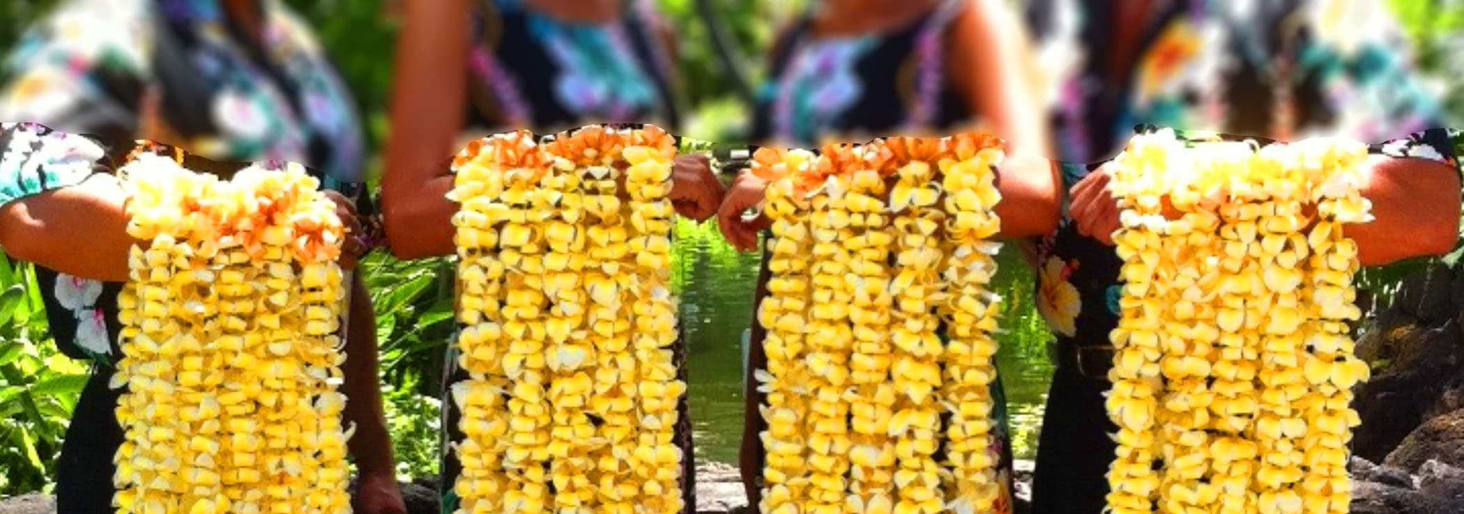 6 Keiki Lei Greeters with Hula Performance - Live Entertainment - Pomai ...