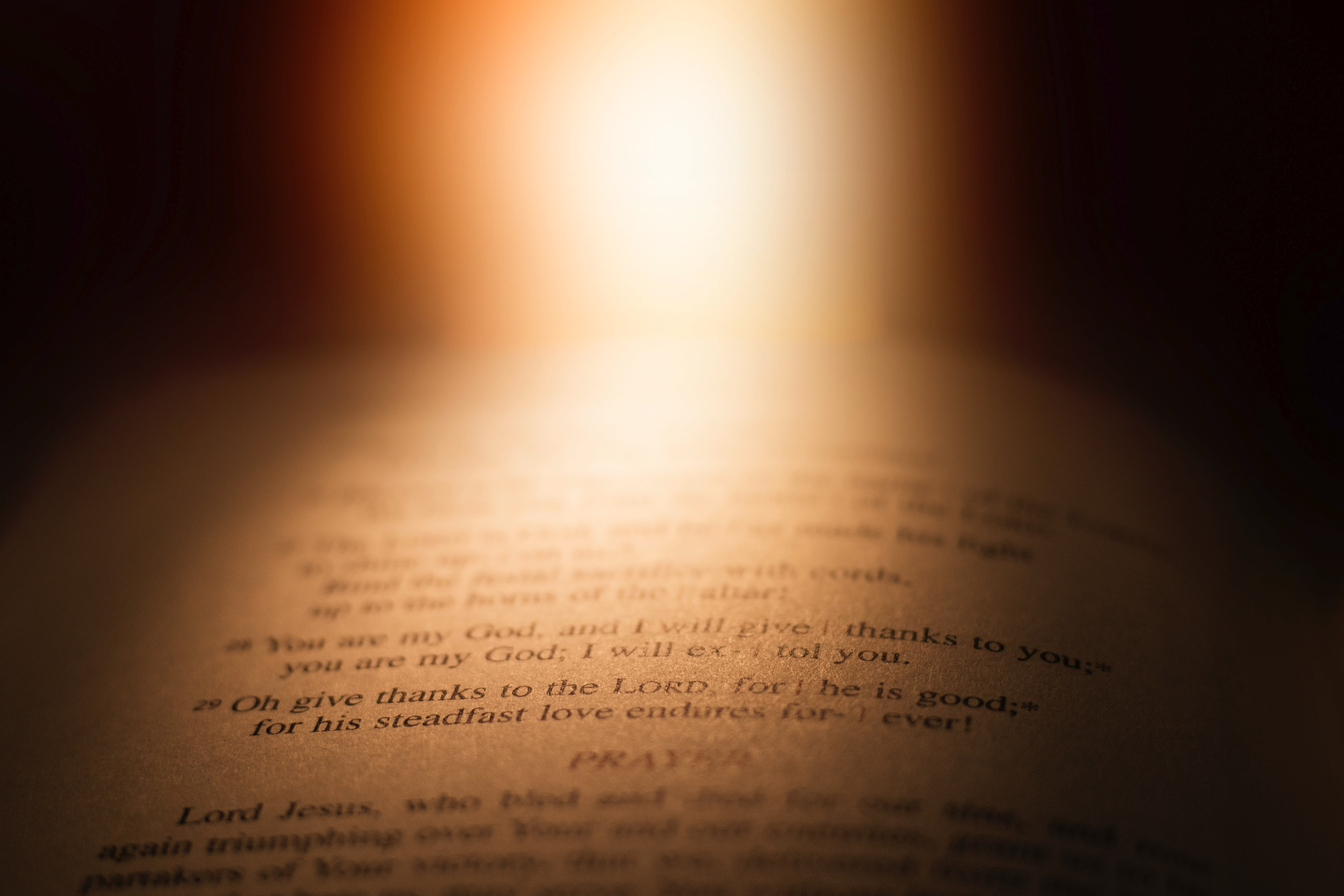 Monthly Biblical Themes - Christian Education Activities - Jesus Reigns ...