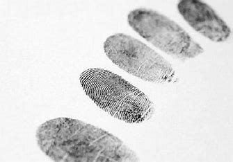 Mobile Ink Fingerprint Card - Fingerprinting - Covenant Lab Services ...