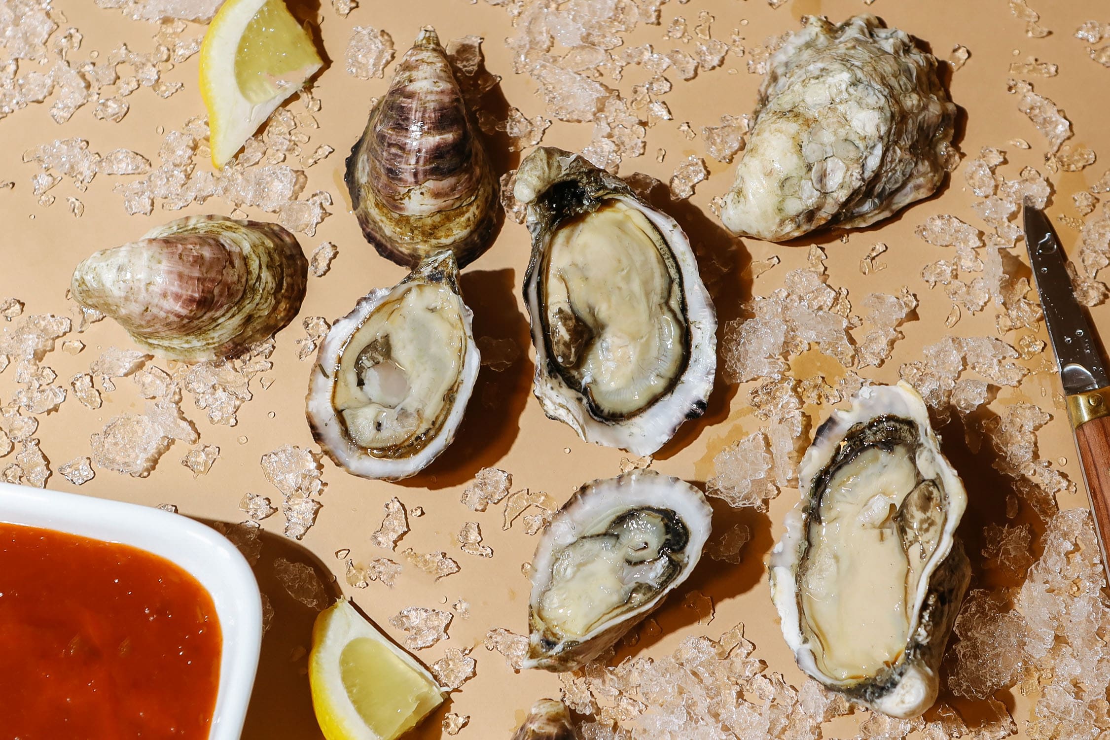 Skagit Shellfish | Top Oyster Farms in Mount Vernon