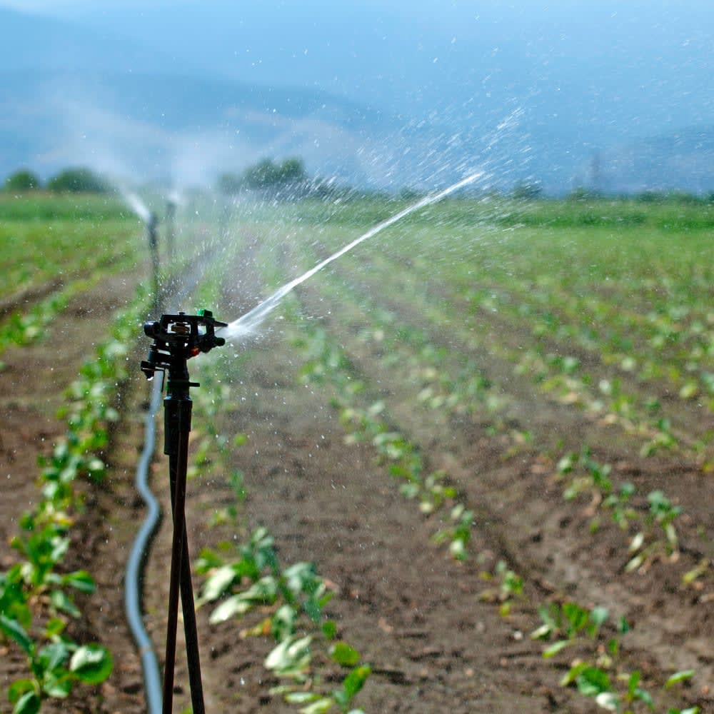 Commercial Irrigation - Irrigation Services - EAGLE Irrigation | irrigation Solutions | St Albans