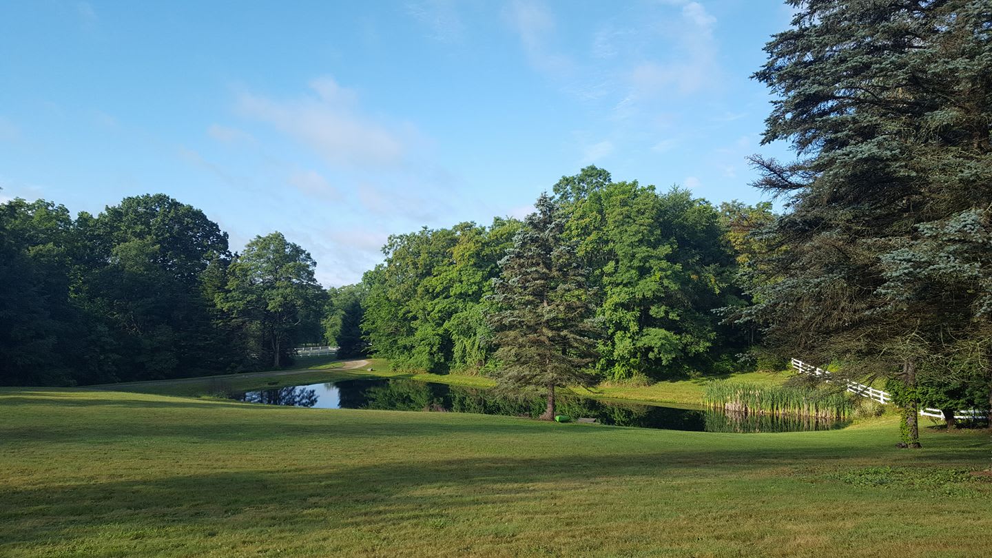 Hidden Hill Boarding Kennels LLC| Dog Boarding and Training | Alliance