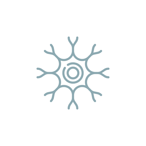 Sciatica - Isolated Injuries - Taneja Physical Therapy Wellness PLLC ...