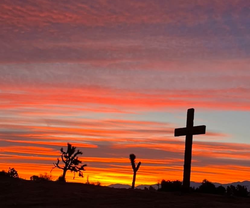 Support Foster Youth Transitions | Take Up Your Cross Inc