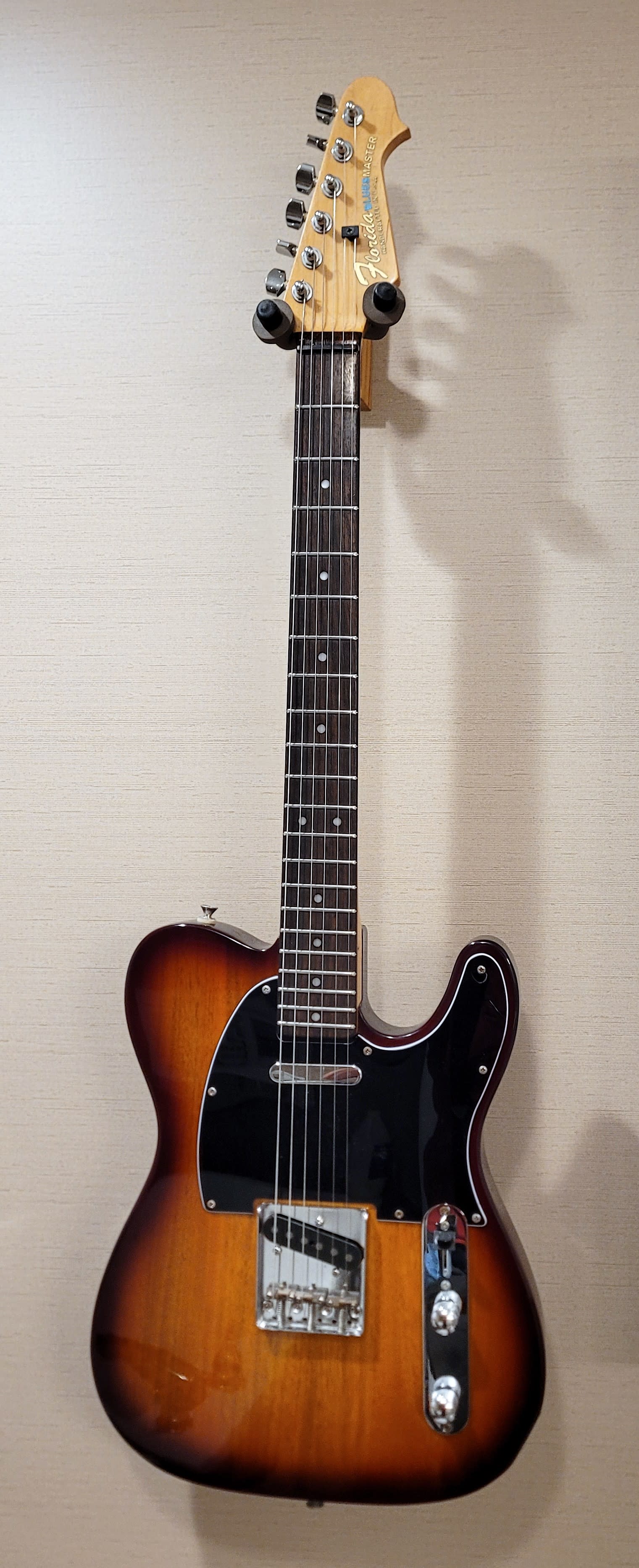 Florida BluesMaster - Guitars - North American Instrument Company ...