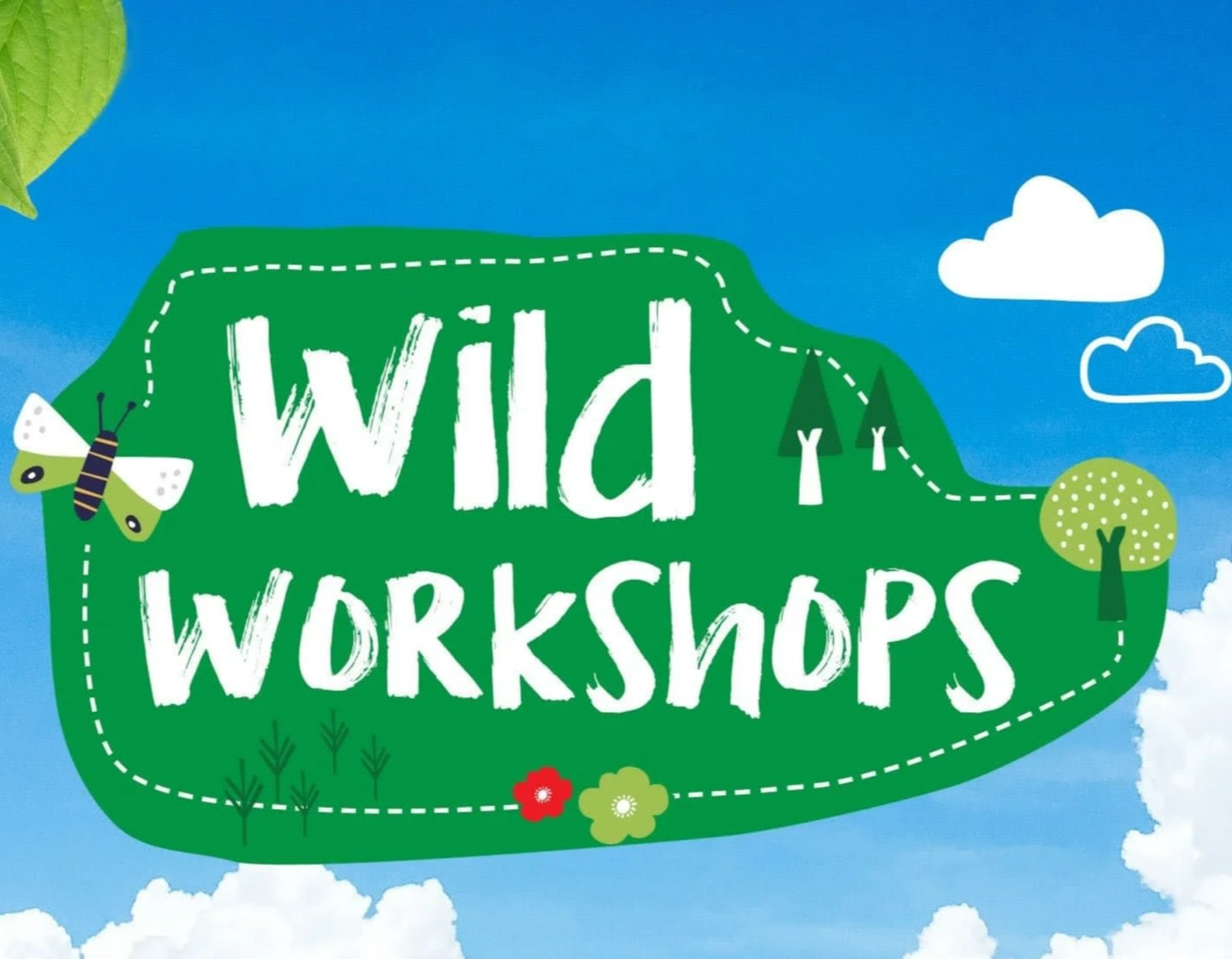 Wildworkshops - World Class Workshops in Warrington