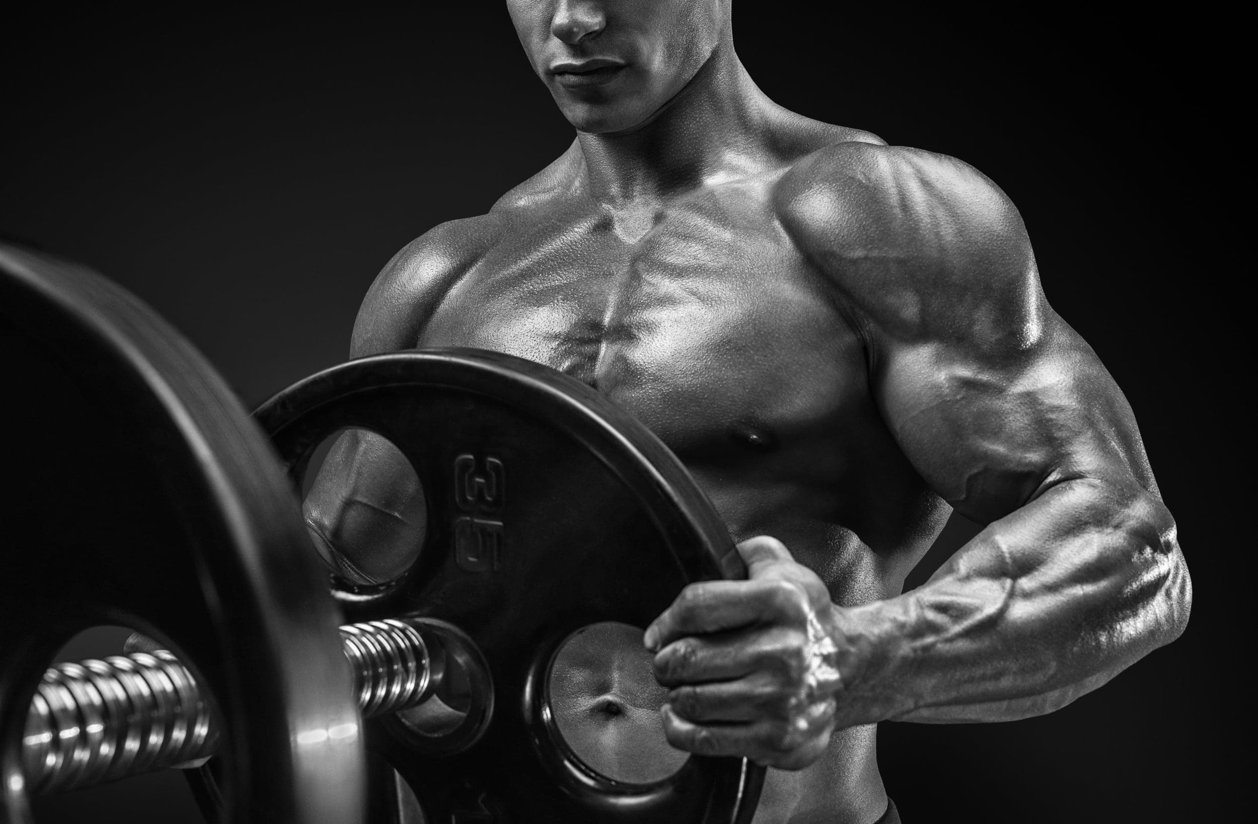 Muscle Gear | Sportswear Store in Melbourne