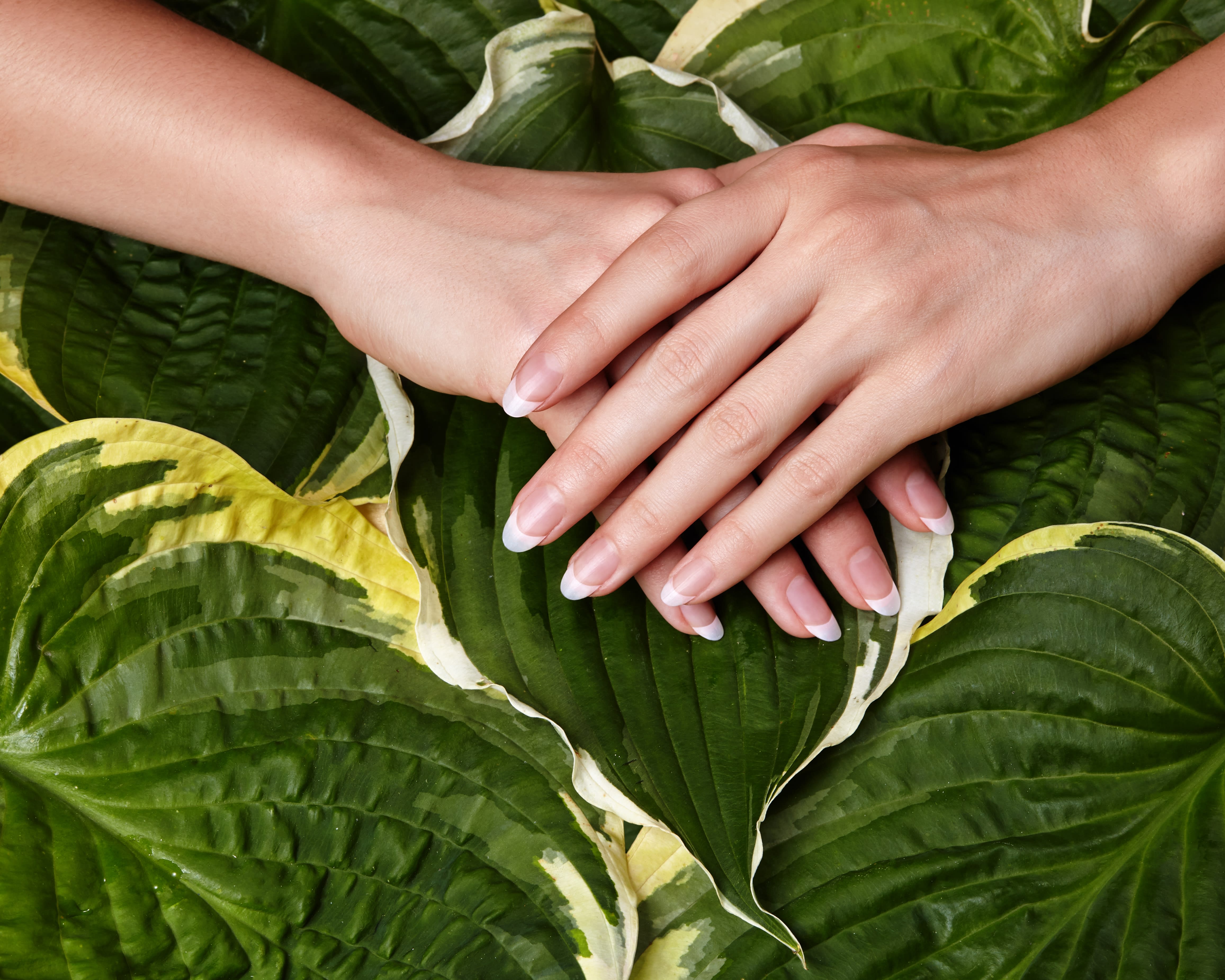 Lotus Spa Nail Salon Best Nail Salon In Mundelein Lotus Spa Nail Salon Best Nail Salon In Mundelein