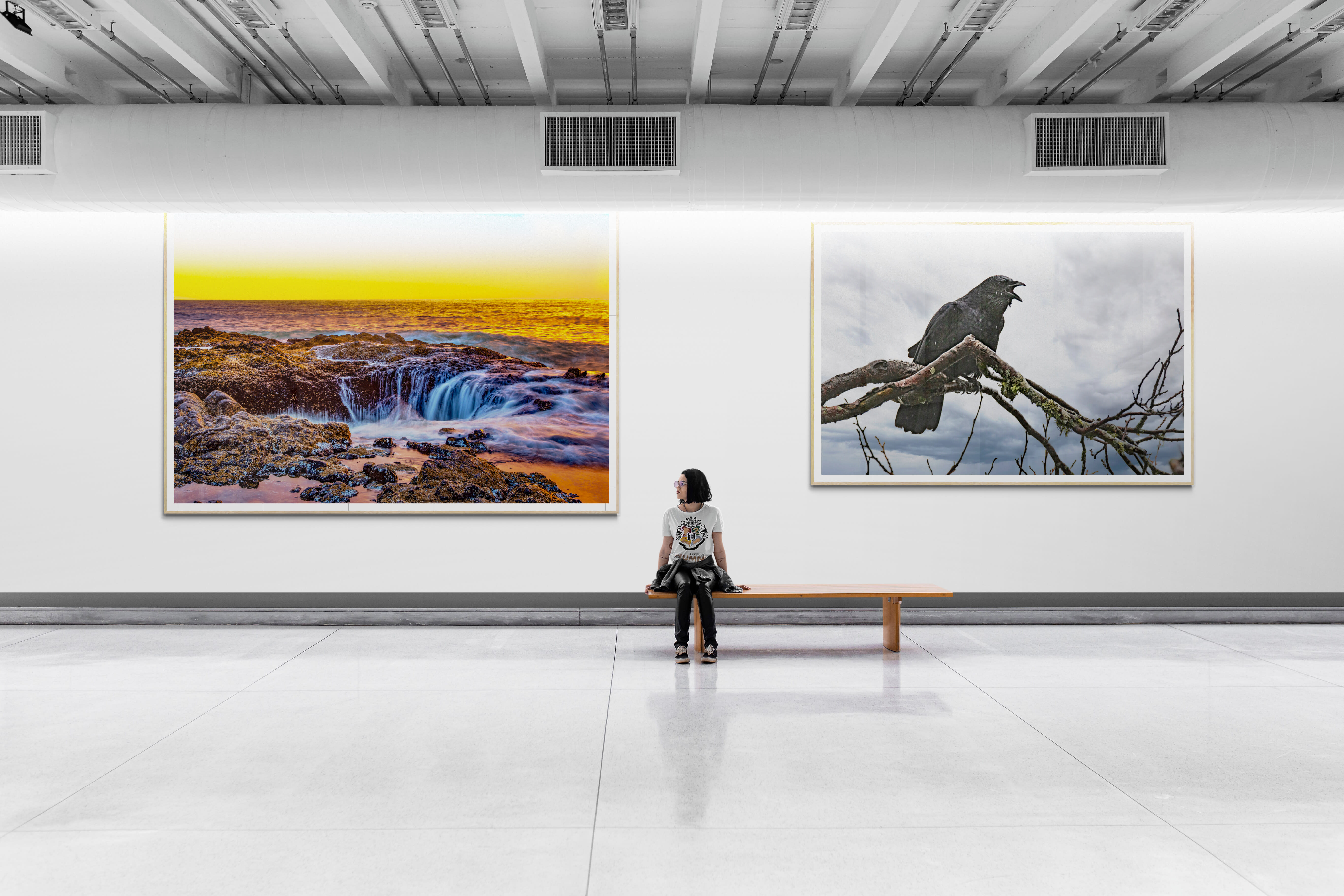 Michael Carr Photography | Professional Photos and Prints | Waldport