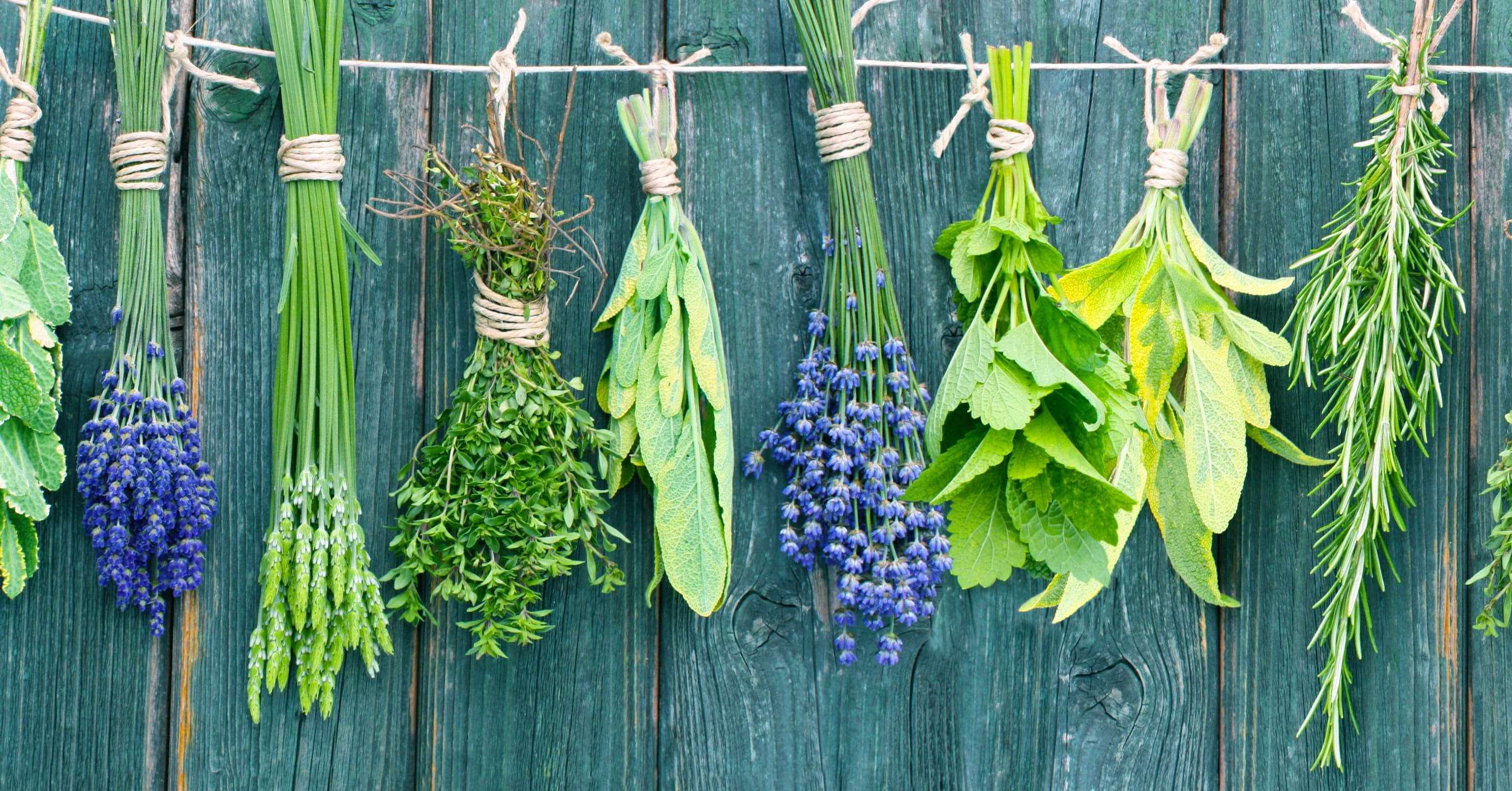 The German Teaway (TGT) | Quality German Herbal Tea E-commerce in Glasgow