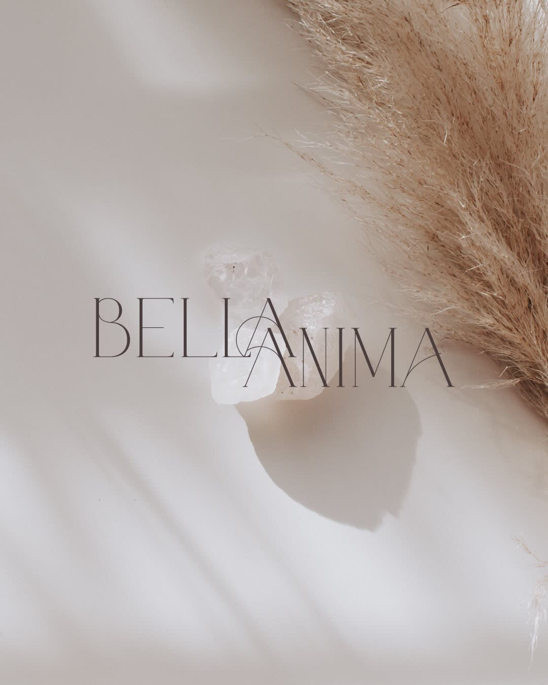 Bella Anima | Holistic Products & Crystals