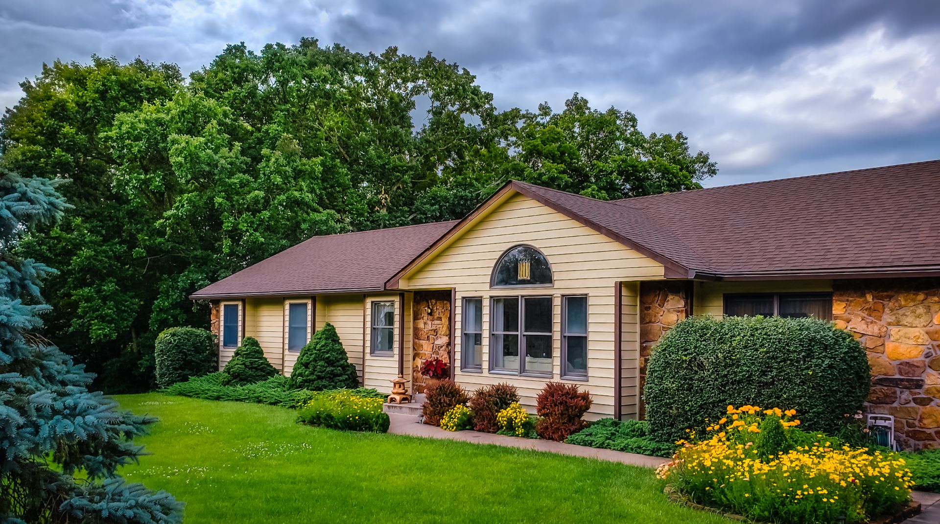 Seattle Rodent Guy | Pest Control Operator | Shoreline