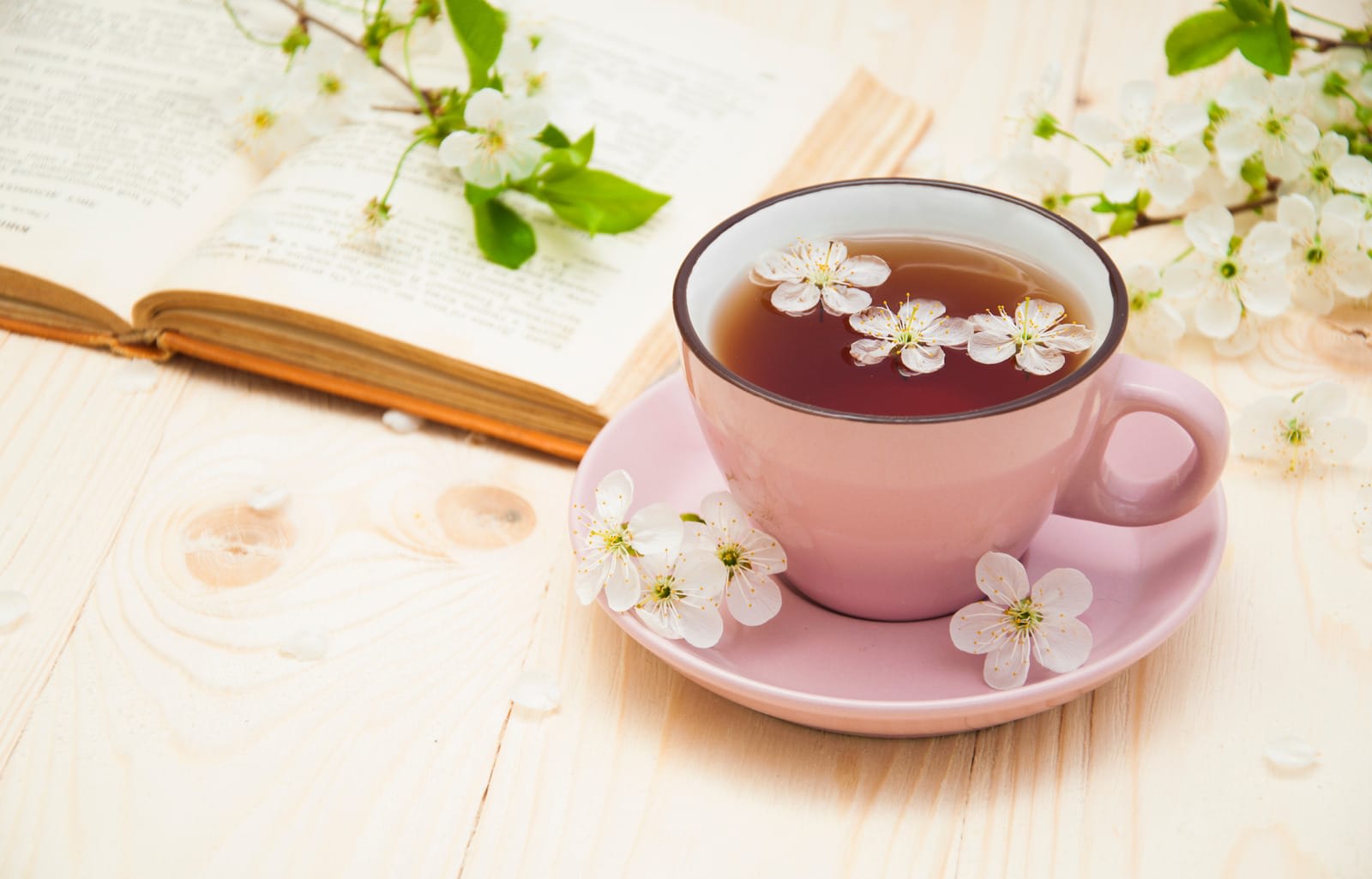 Dimensional Decalcifying Tea Company - Tea Store | South Orange