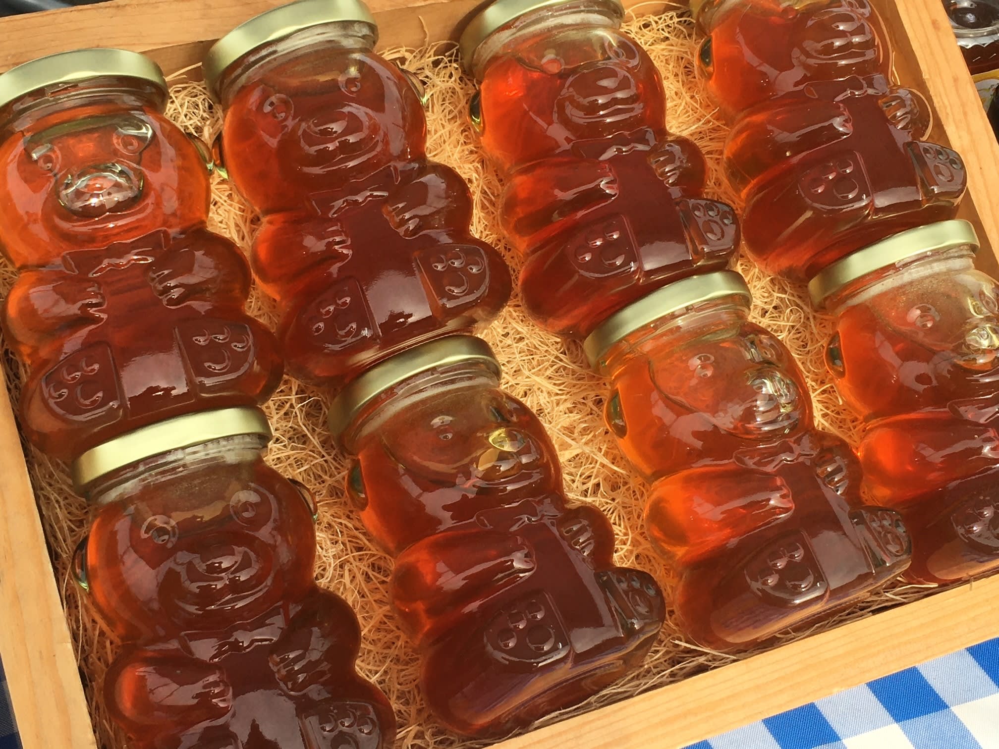 Honey in Bear Jar - Honey Products - Alder Creek Honey - Honey Sales & Bee Pollination in Corvallis