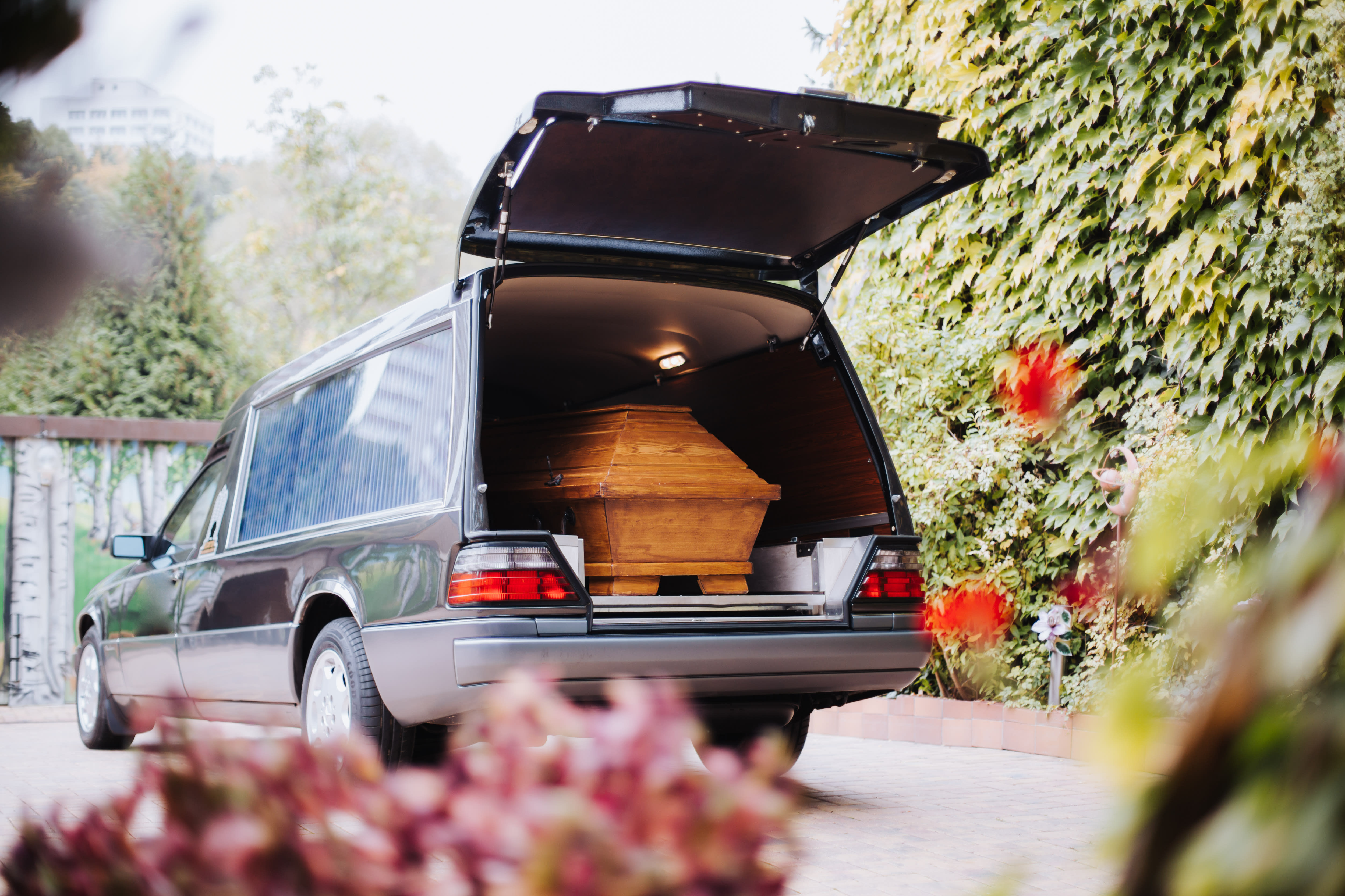 Best Funeral Directors in London - McDonald and Tomlin Funerals ...
